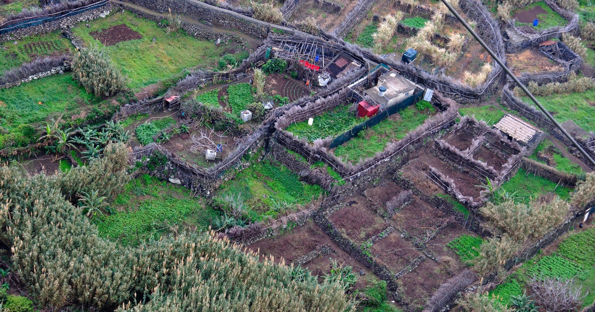 Madeira II - Expresso