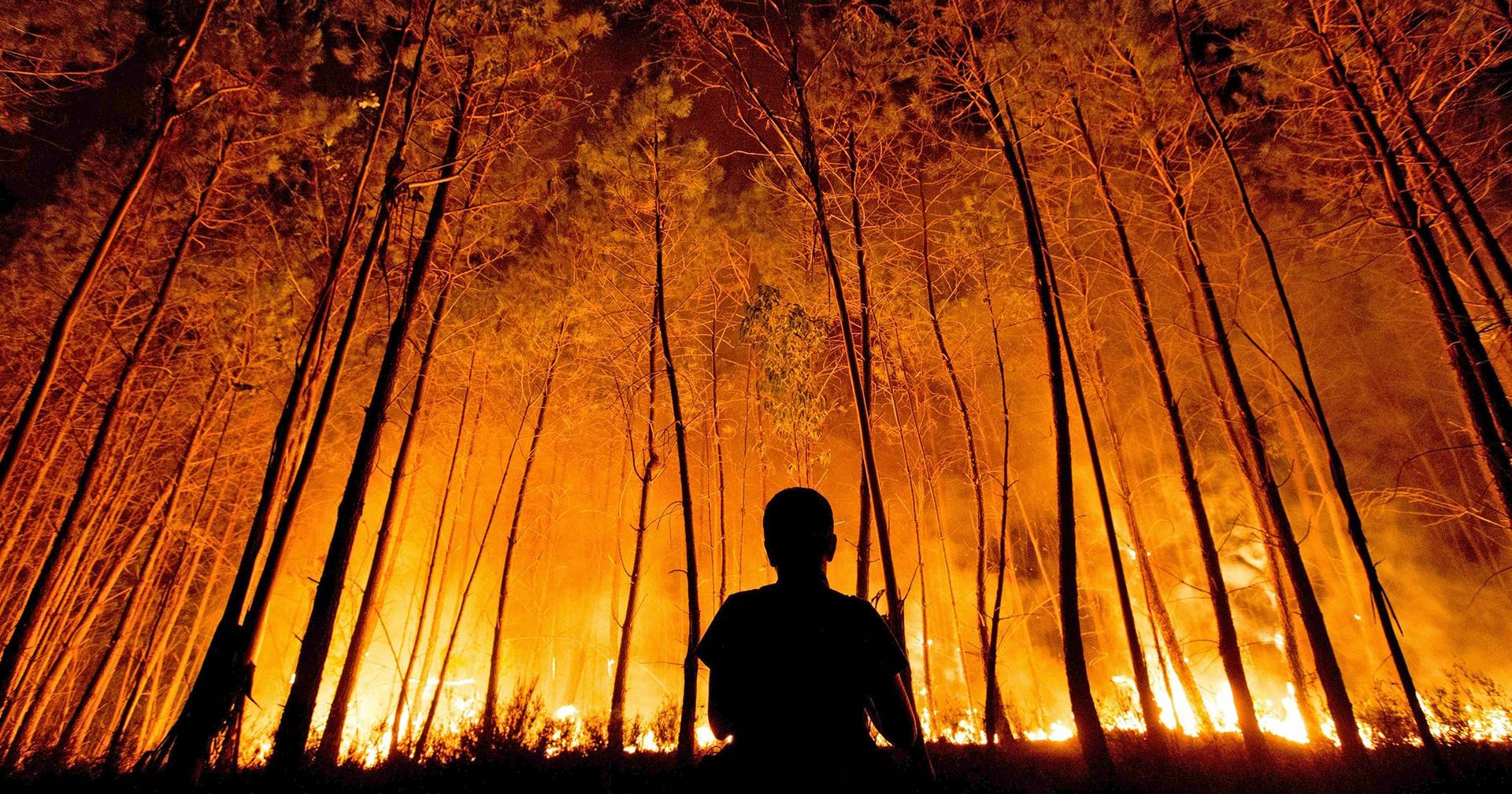 O fogo é mais forte do que tudo - Expresso