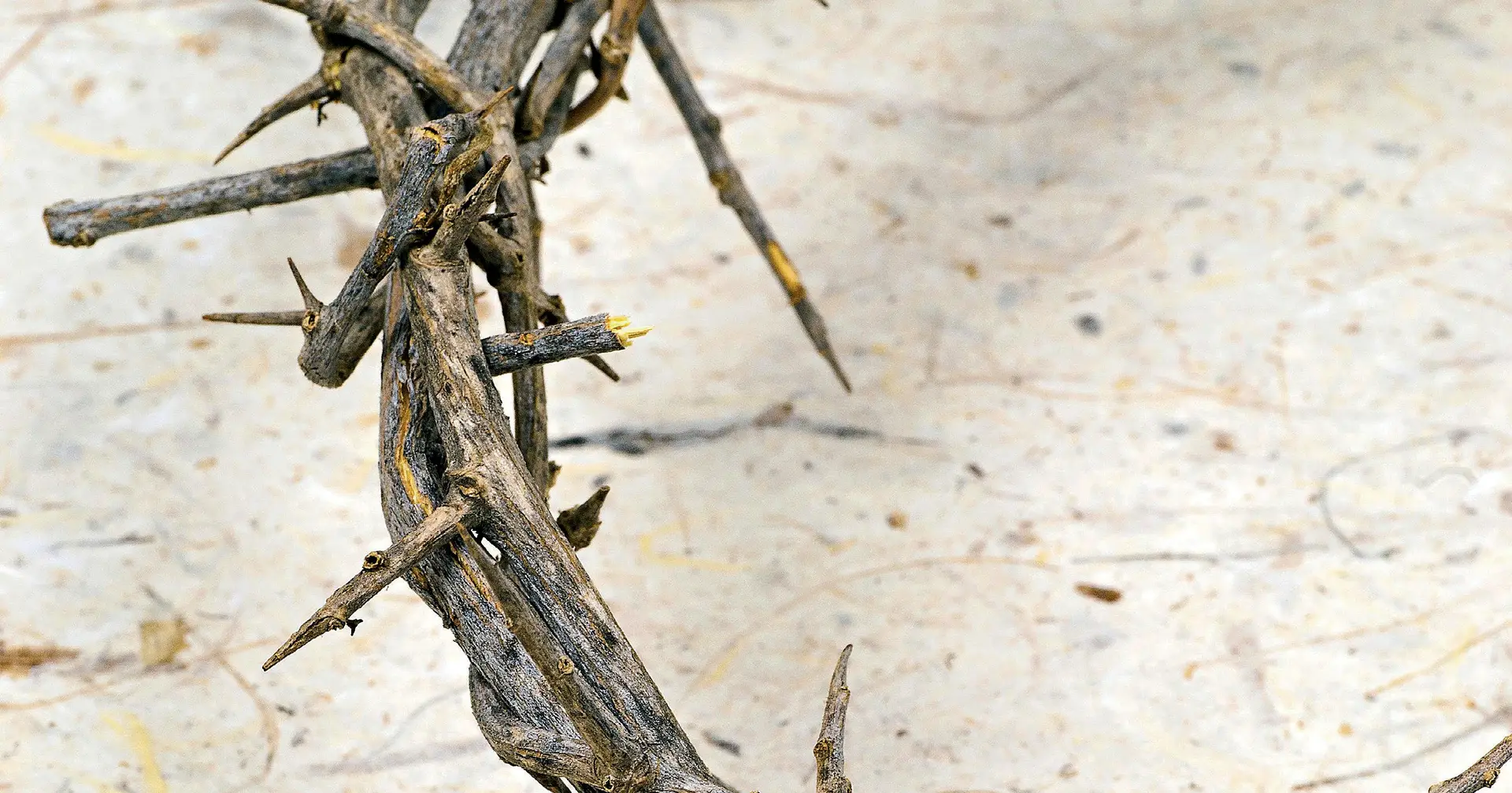 Expresso | Sete aspetos polémicos da vida de Jesus