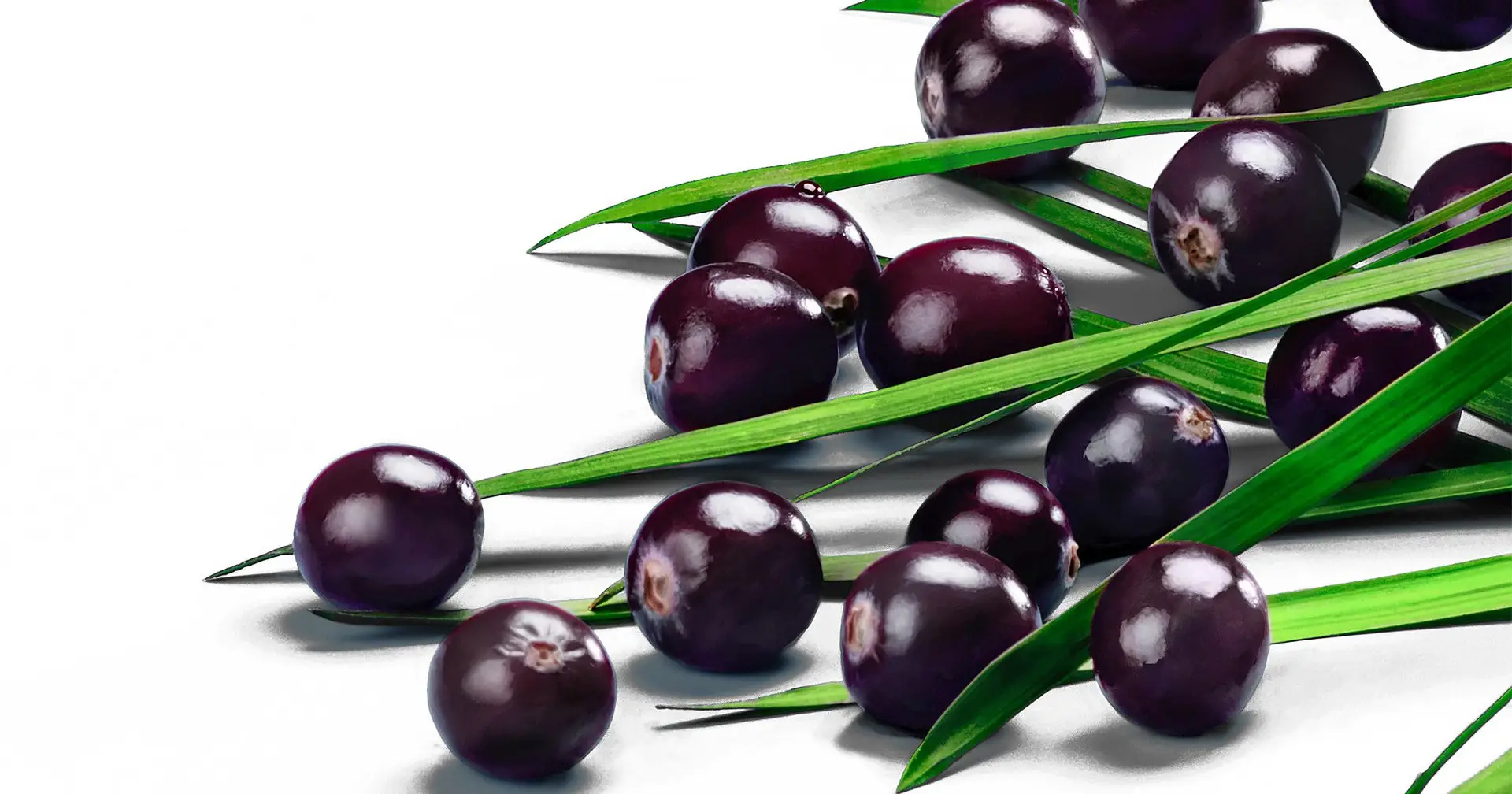 Expresso | Que fruto é açaí?