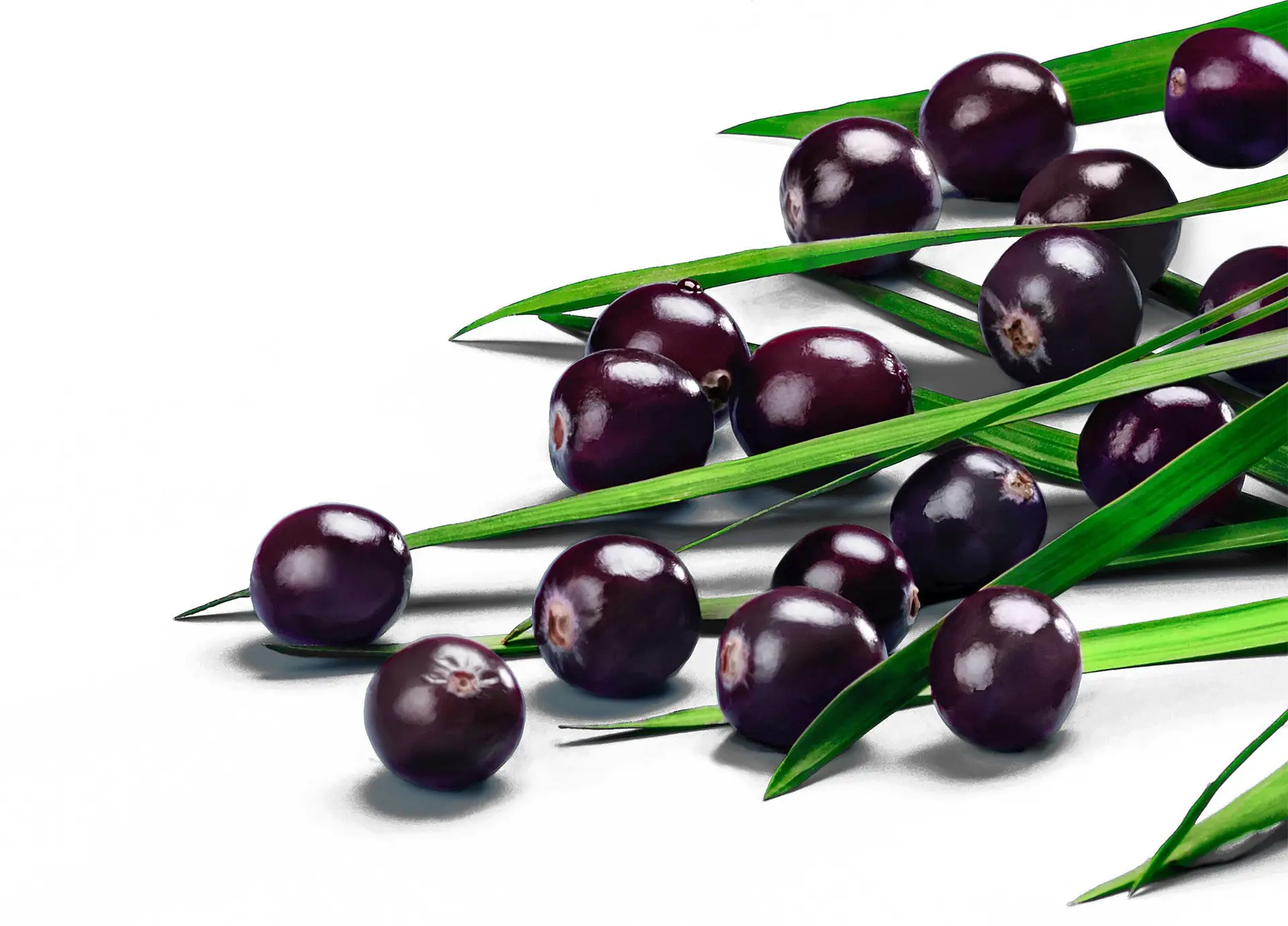 Que fruto é açaí? - Expresso