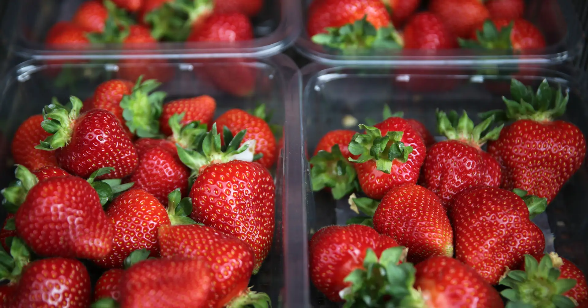 Expresso | Morangos retirados dos supermercados australianos por ...