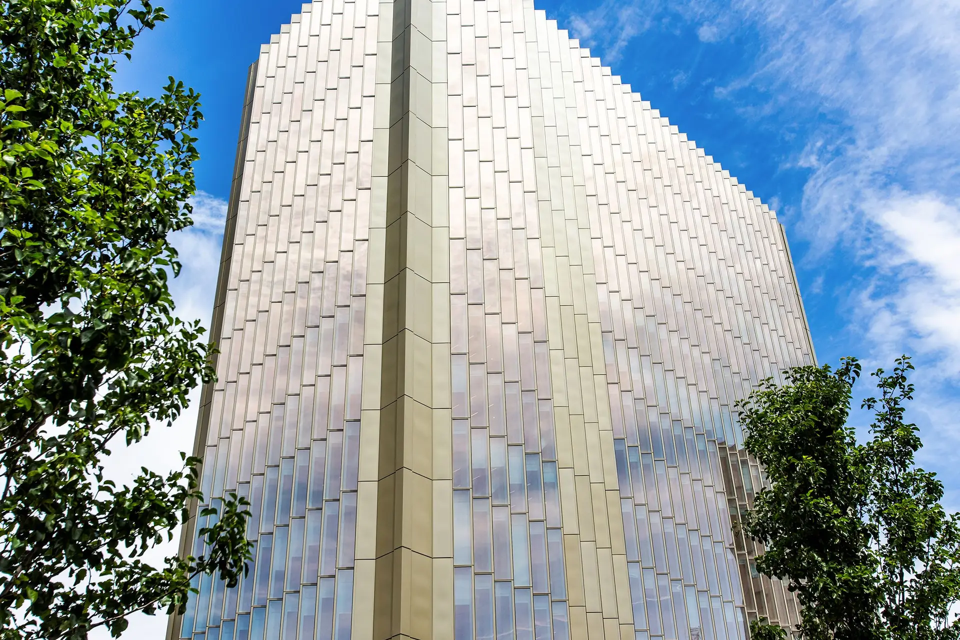 PLMJ: anatomia de uma debandada - Expresso