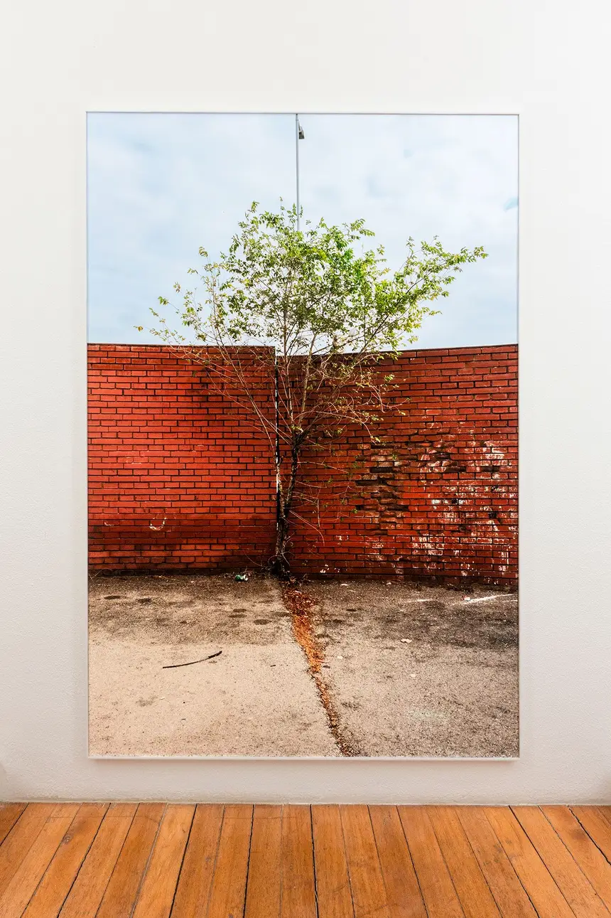 Estar além. Esta é a periferia de Catarina Botelho