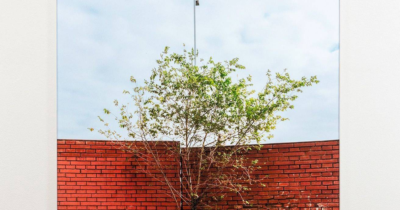 Estar além. Esta é a periferia de Catarina Botelho - Expresso
