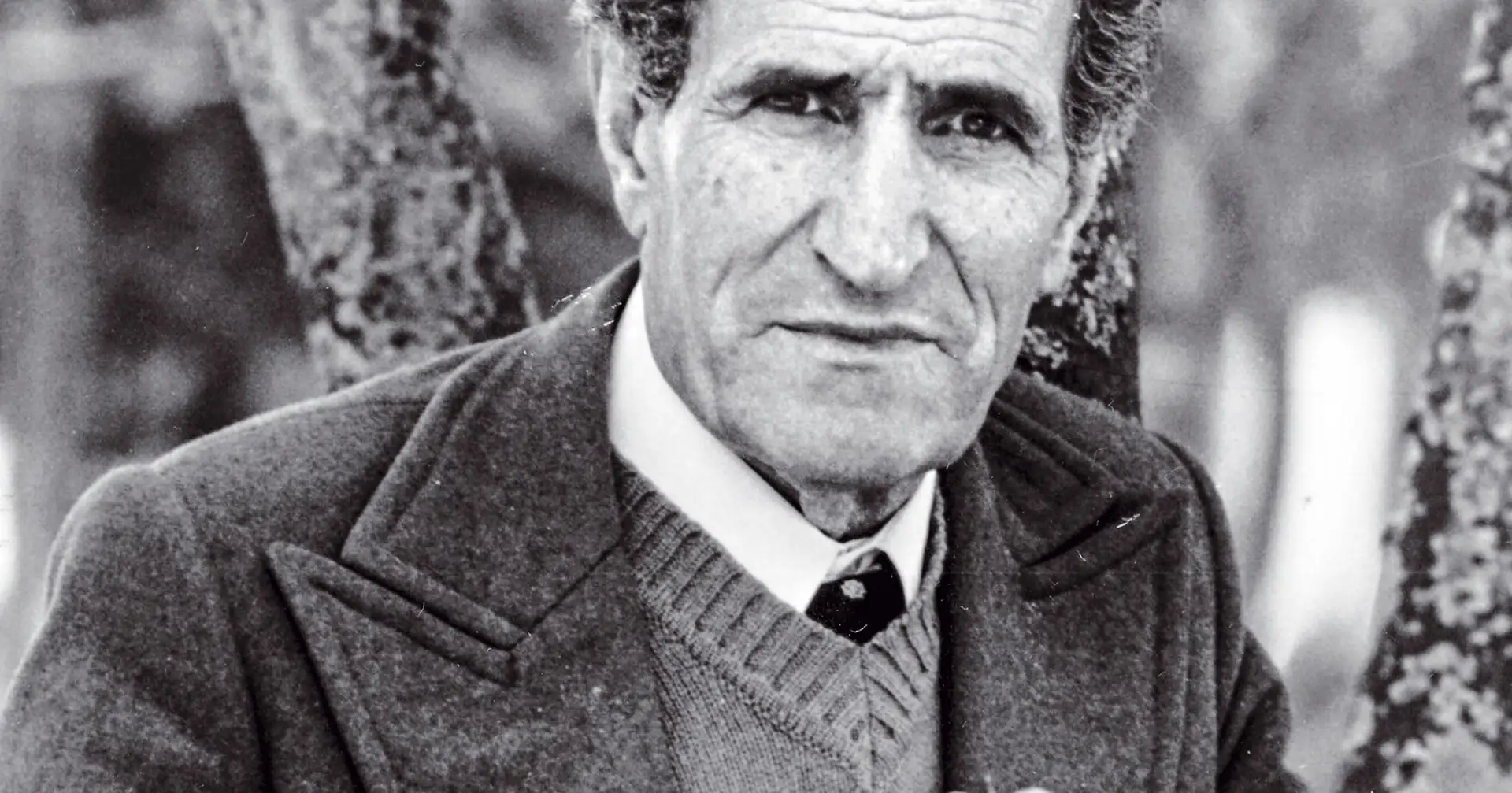 Expresso | Miguel Torga sob o olhar dos outros. 67 remetentes para um ...