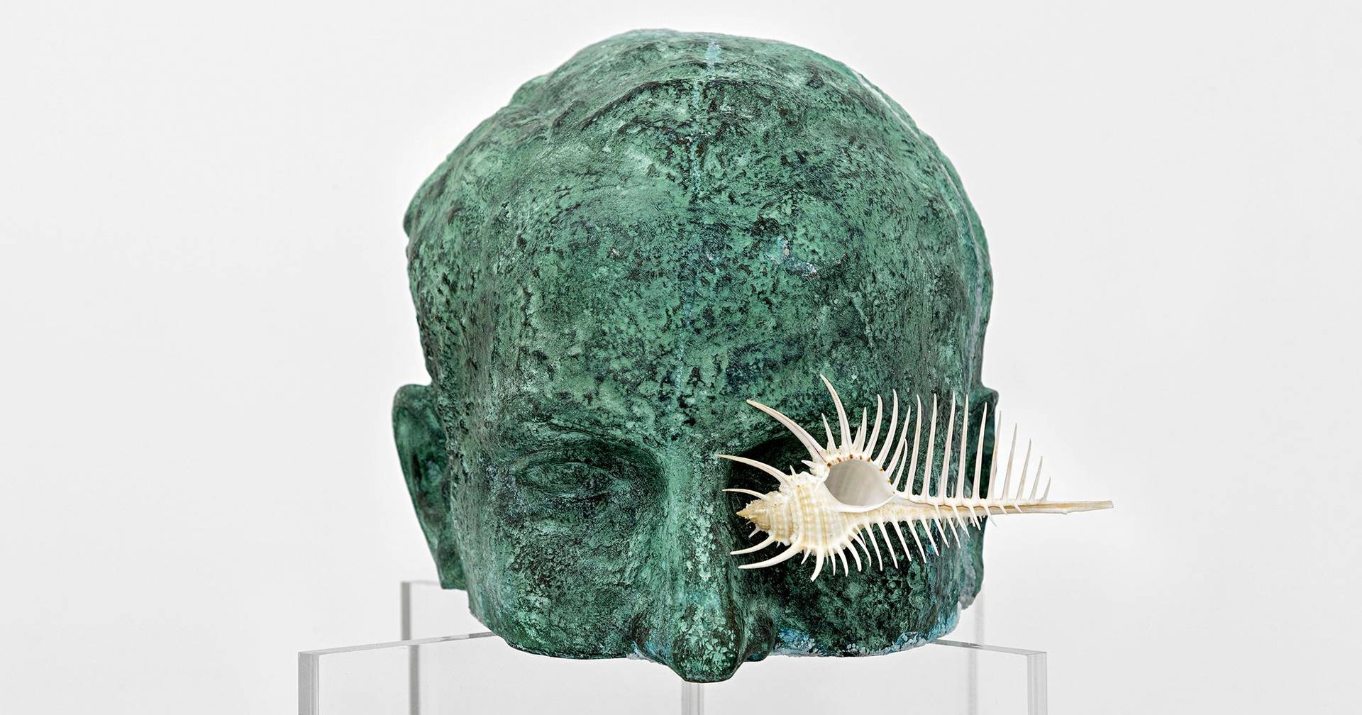 20 anos dos prémios EDP. Um álbum de família que percorremos outra vez ...