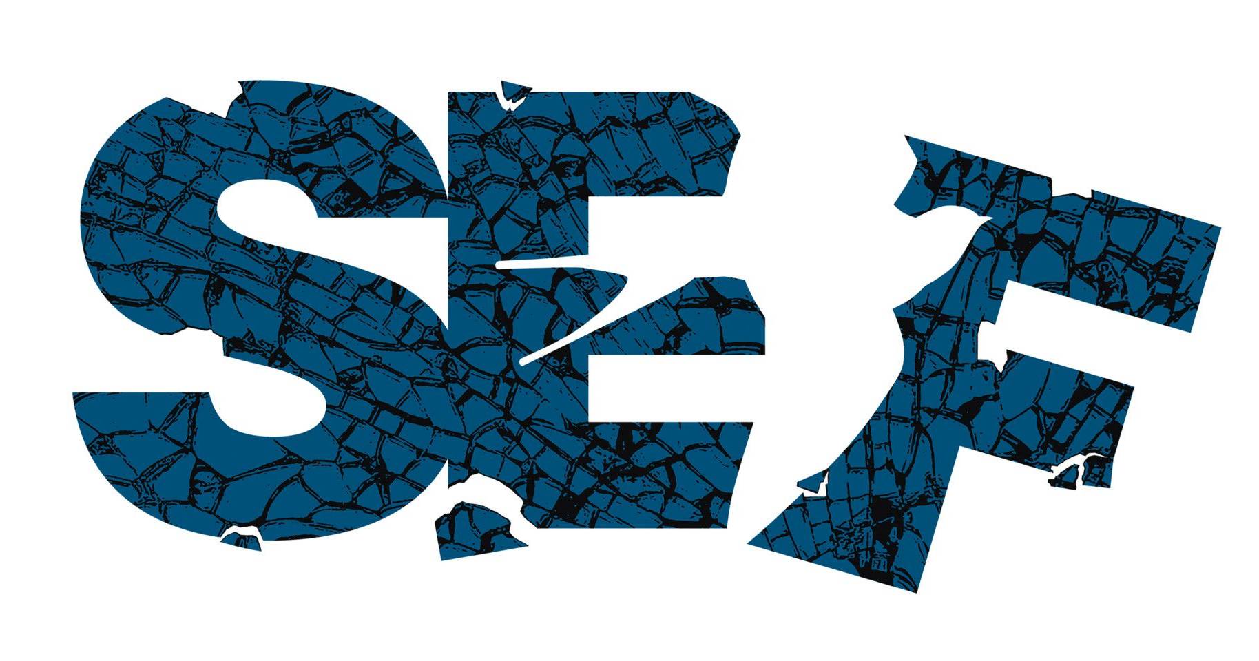 61 elementos, seis gabinetes e o teste na Web Summit: novo “mini-SEF ...