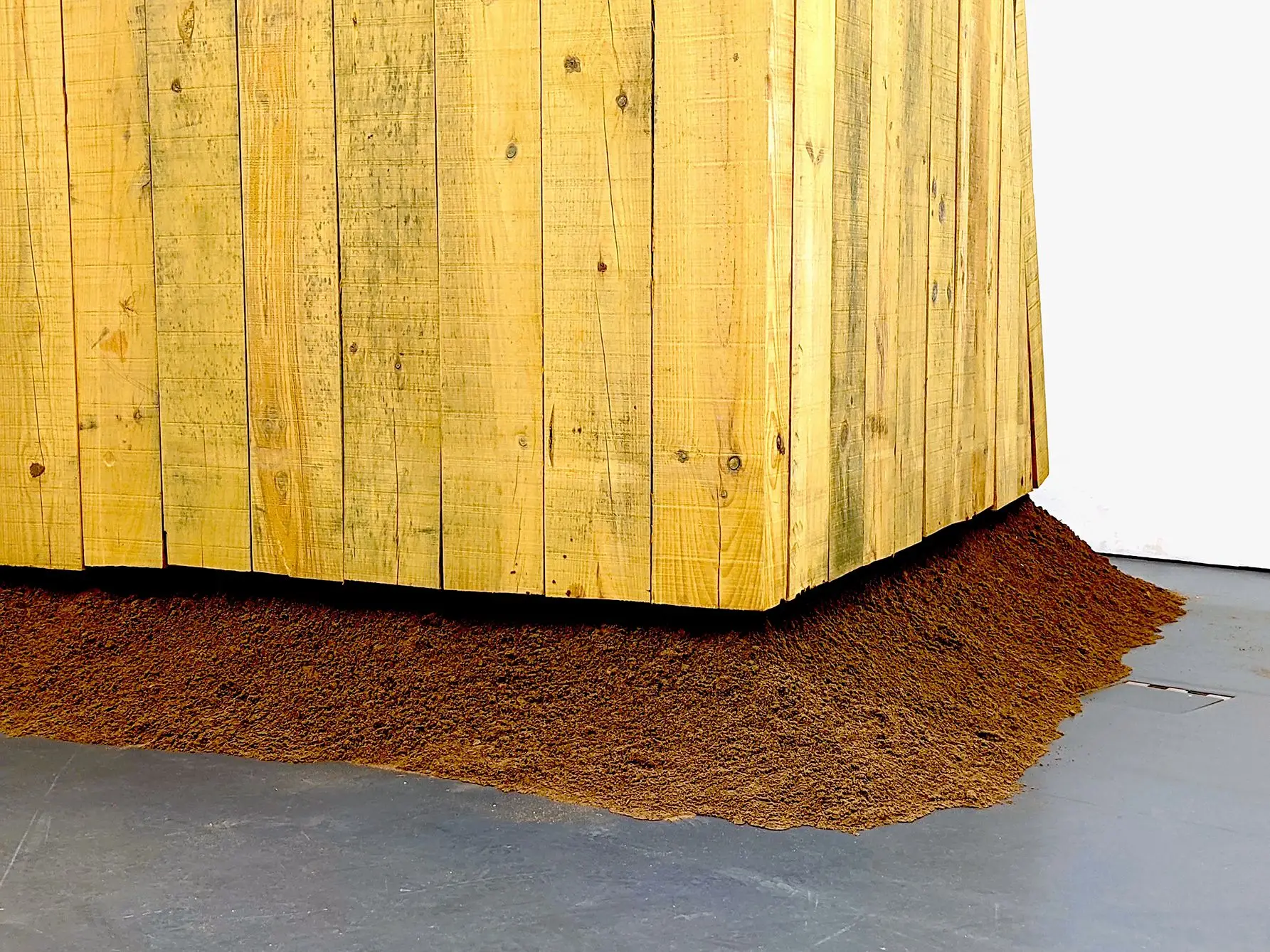 Melhores do Ano. Cada obra de António Bolota é uma interrogação ...