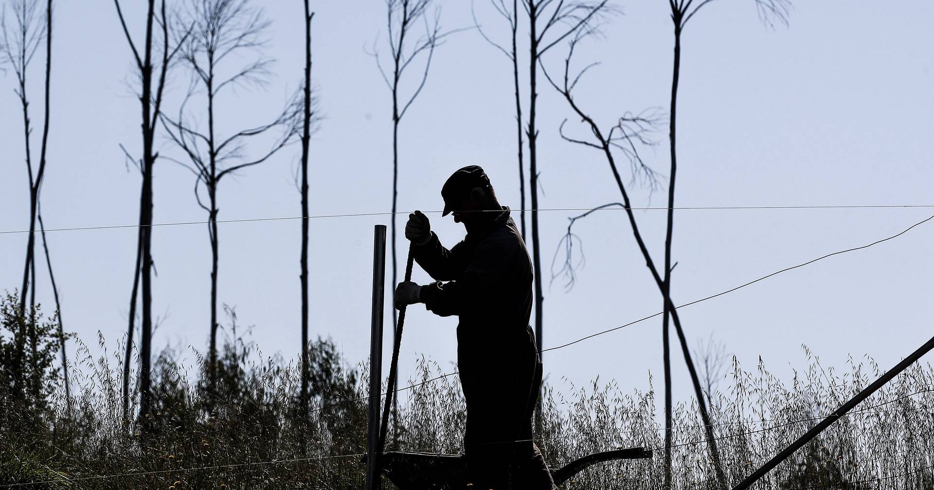 Pedrógão Grande: O incêndio foi um “fenómeno extraordinário de grande ...