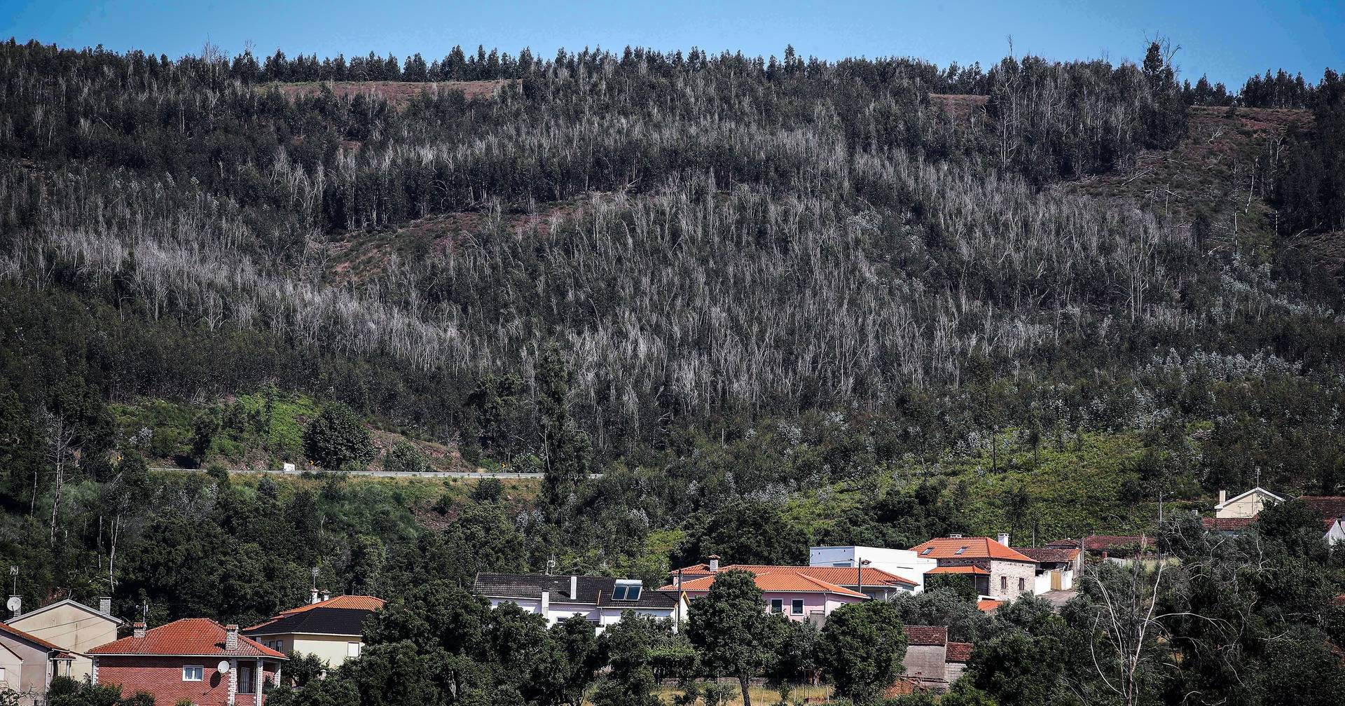 Pedrógão Grande: Memorial às Vítimas dos Incêndios concluído em junho ...