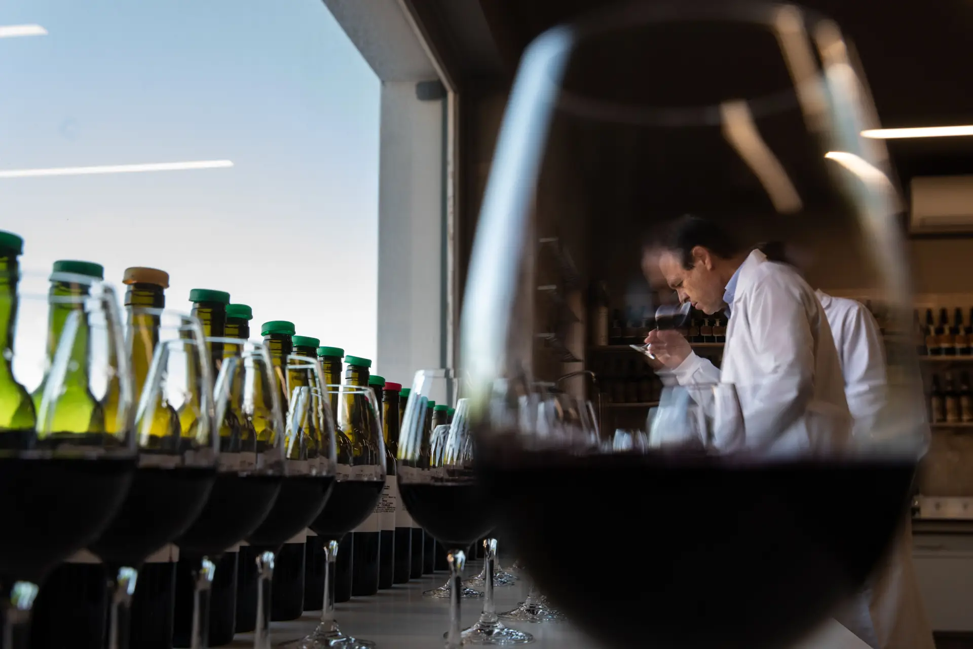 Sogrape lidera consórcio internacional que vai apoiar a investigação no ...