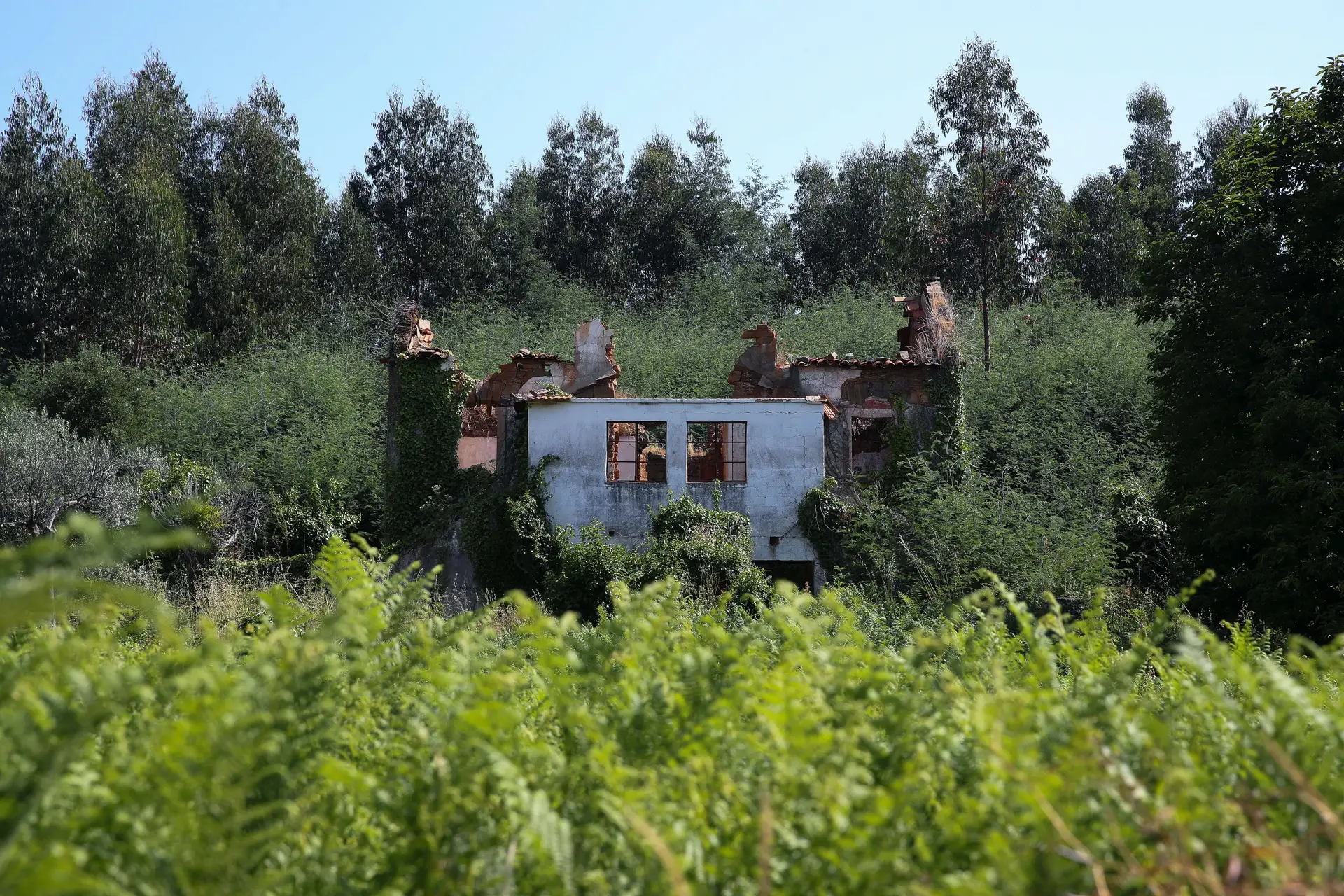 Incêndio de Pedrógão Grande: ainda há nove casas por reconstruir - Expresso