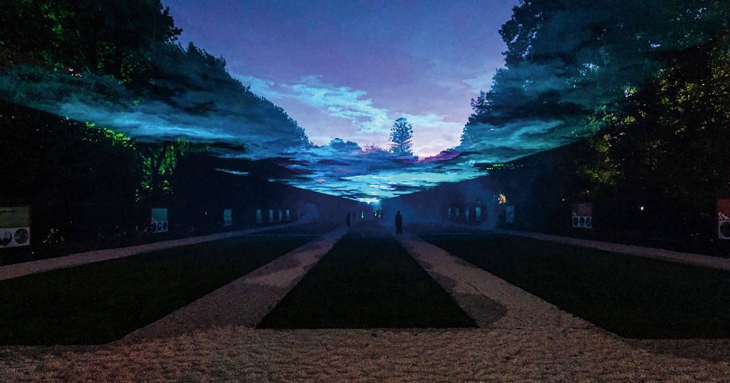 Serralves com “experiências visuais e sensoriais que transportam o ...