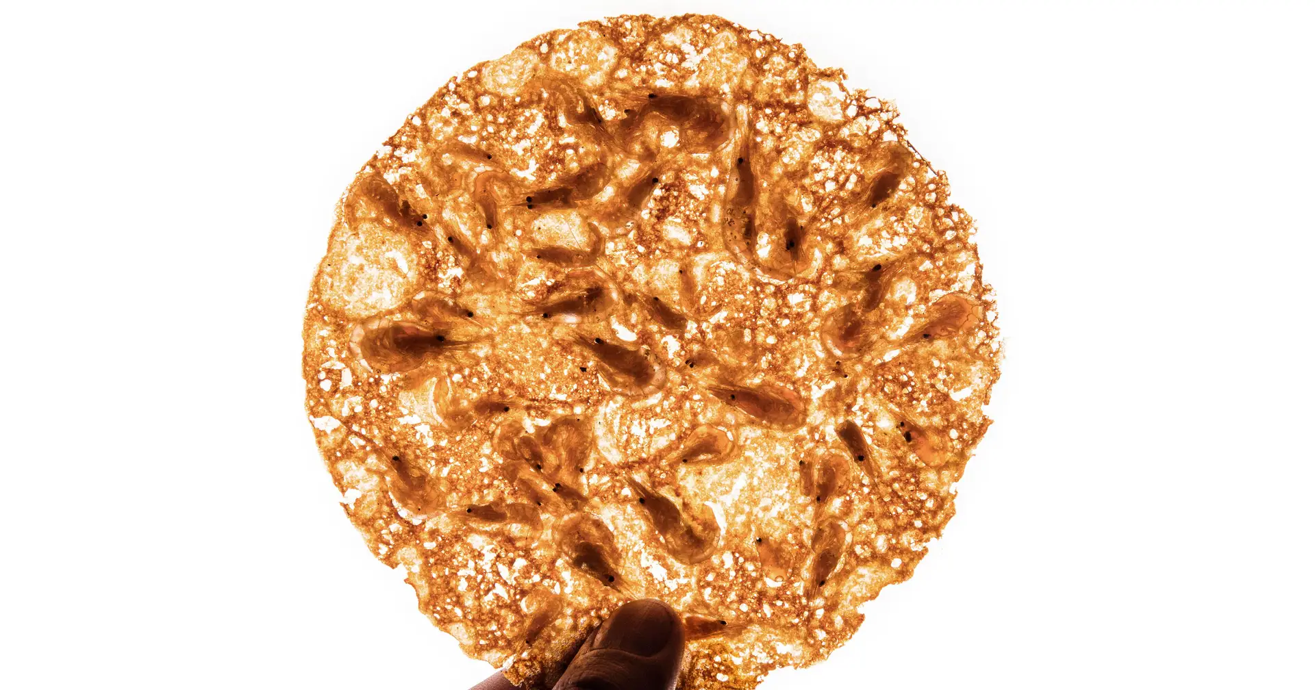 Expresso | Receita da semana: crocante de camarinhas