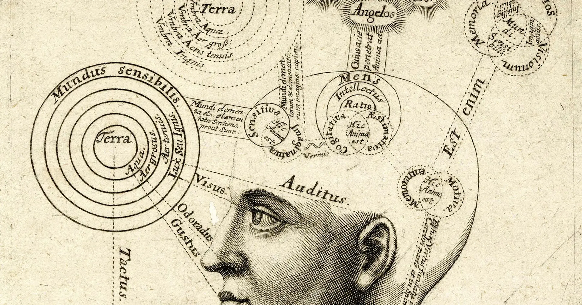 Expresso | O que é a racionalidade? É conhecer o outro lado