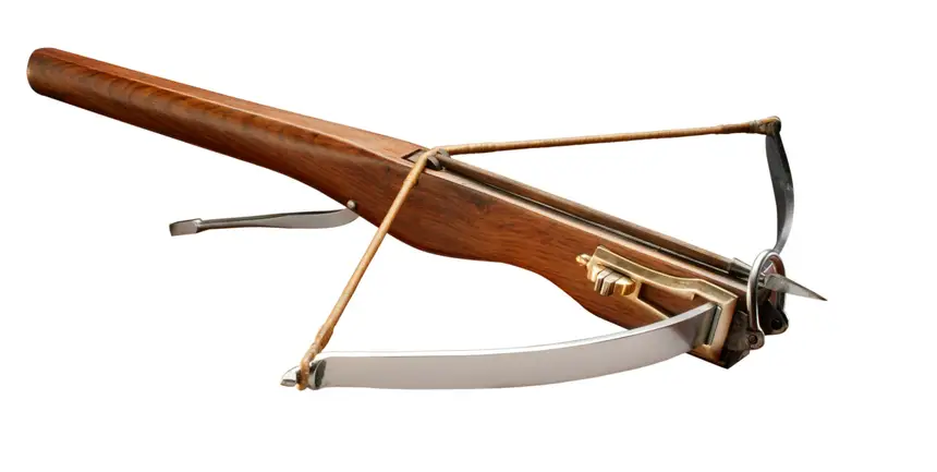 Expresso | Ataque à Faculdade de Ciências: João tinha uma besta em casa ...