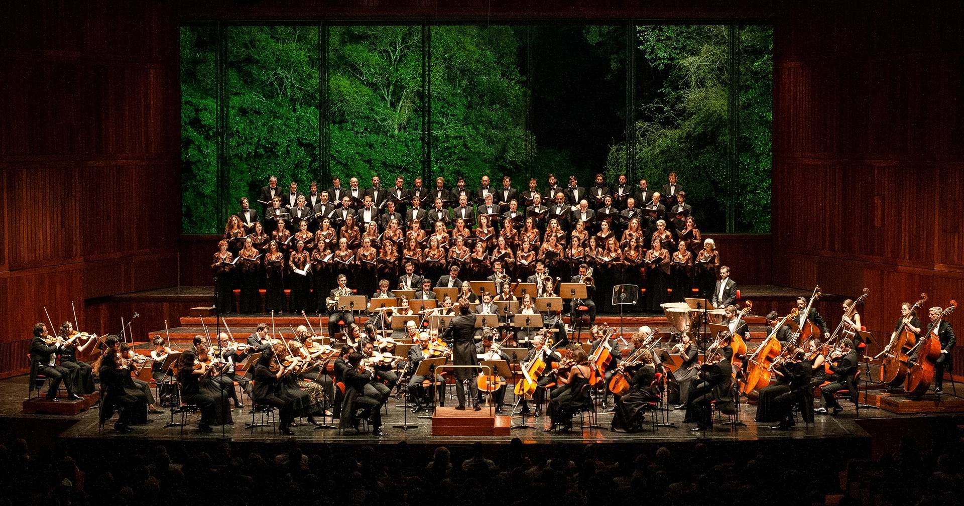 Sokolov, Maria João Pires, centenário de Xenakis e uma ópera de Philip ...