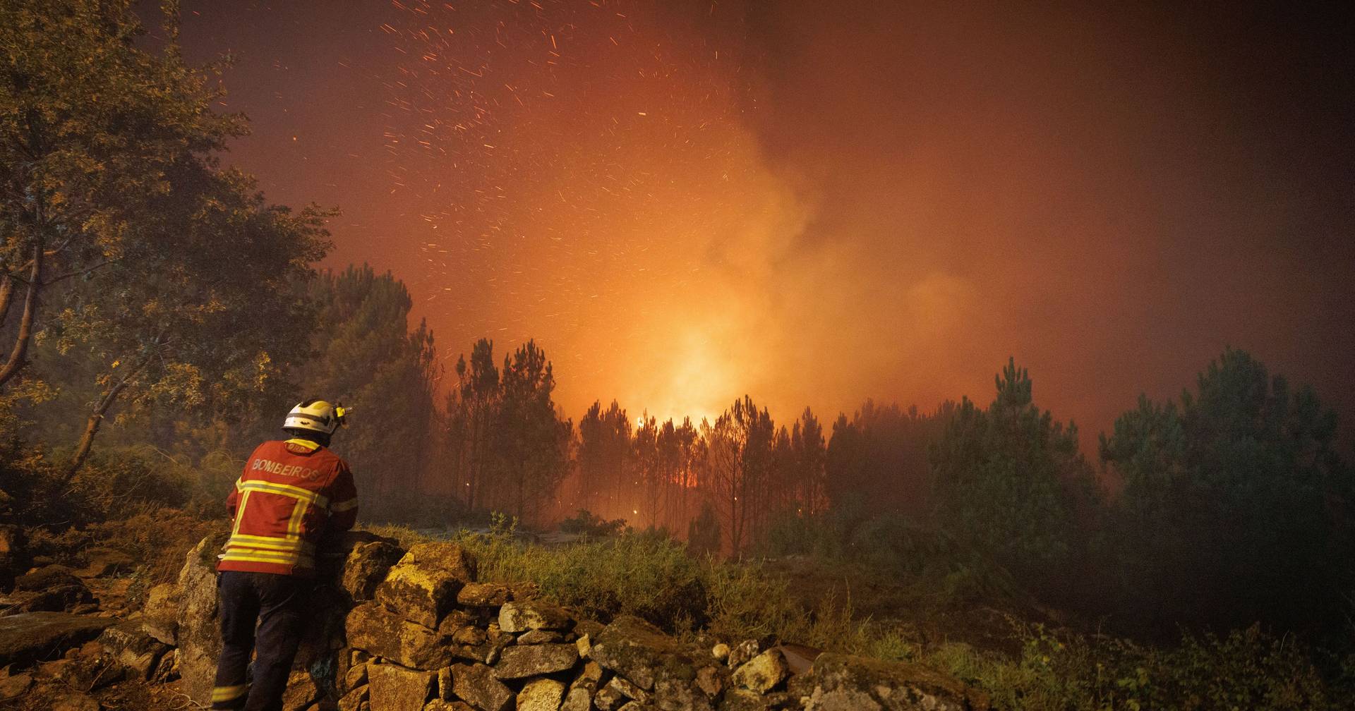 Incêndios já consumiram mais de 100 mil hectares em Portugal, quase ...