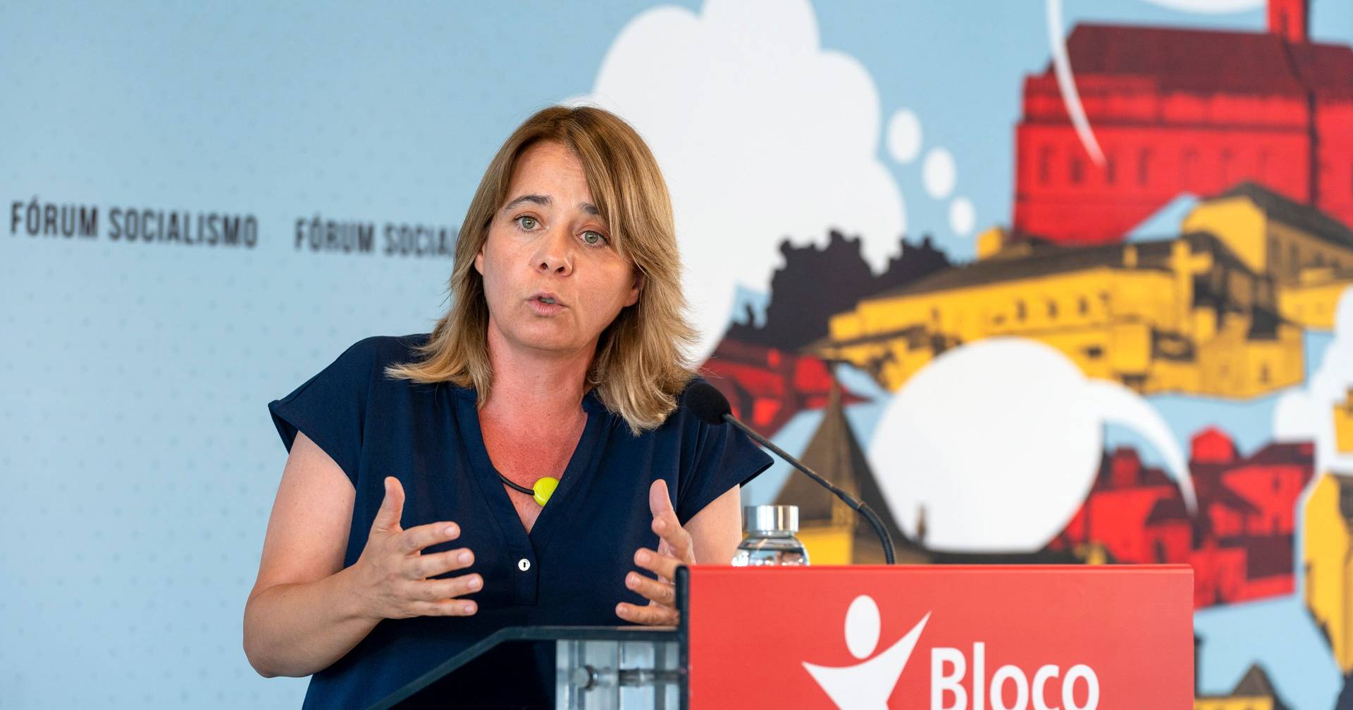 Incêndios: Catarina Martins diz que é preciso “intervir já no ...
