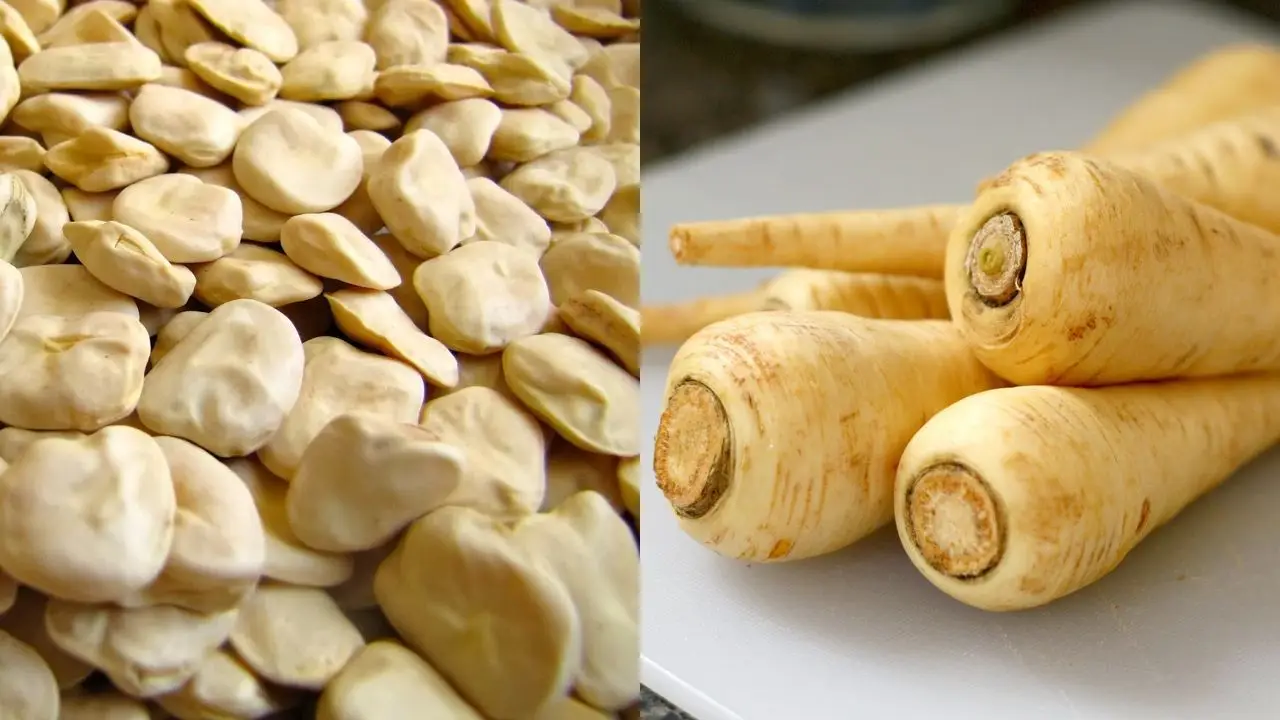 Chícharo ou cherovia? Estes festivais deixam tudo em pratos limpos ...