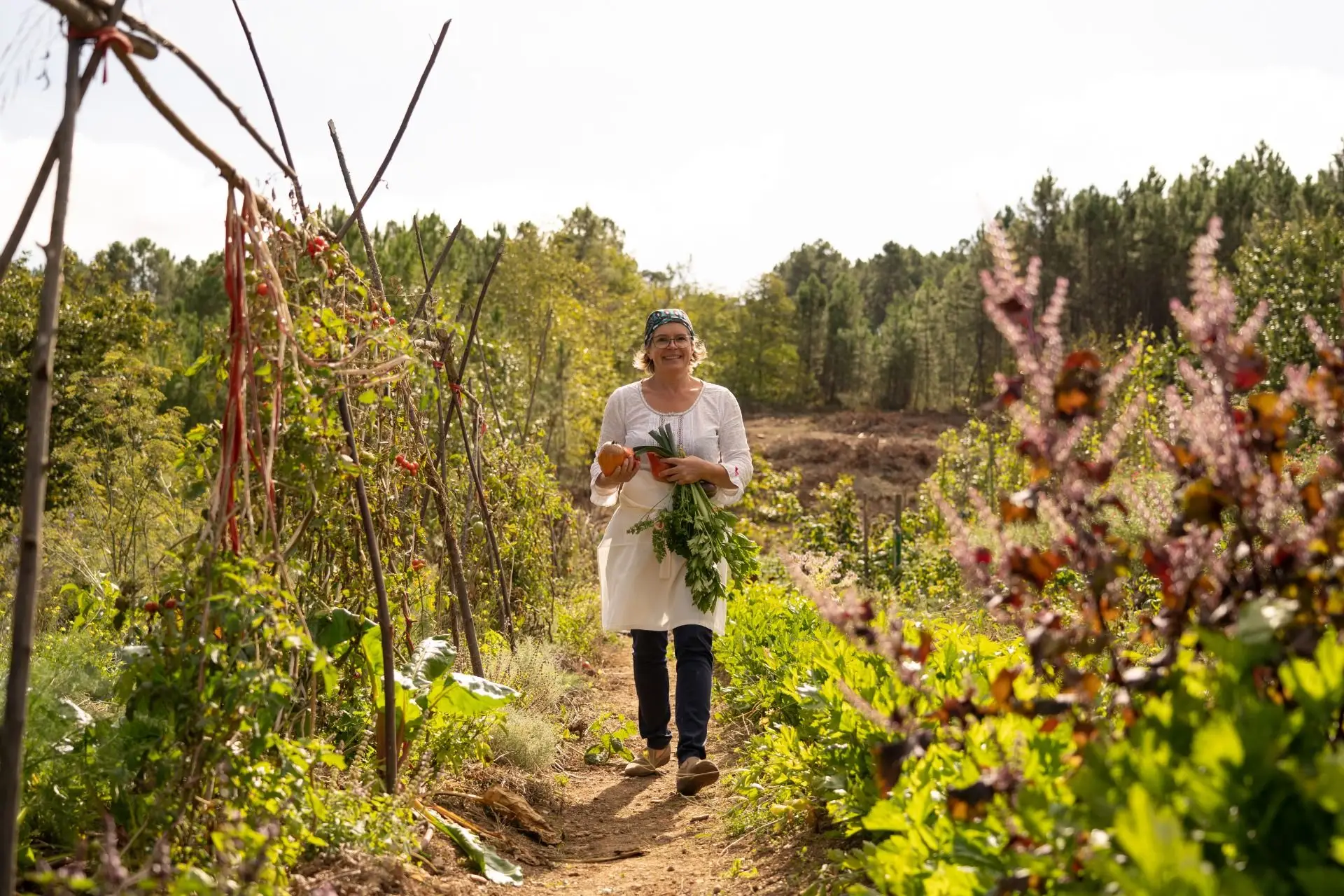 Ervas daninhas, chá ou legumes da horta? Sete locais para pôr as mãos ...
