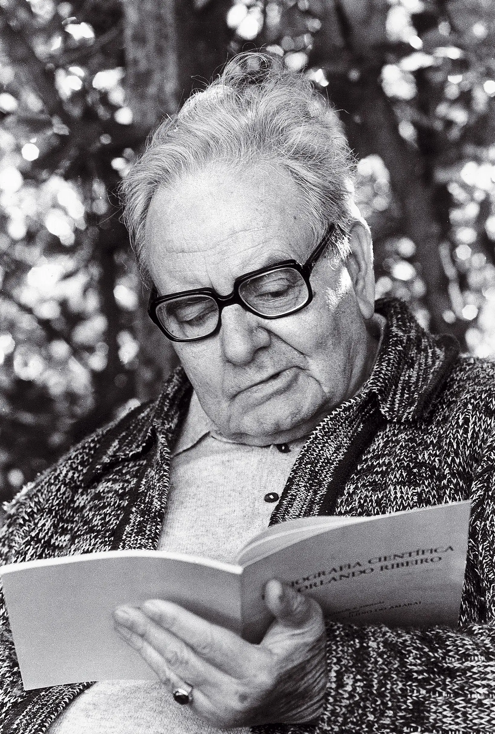 Orlando Ribeiro O mestre do território - Expresso