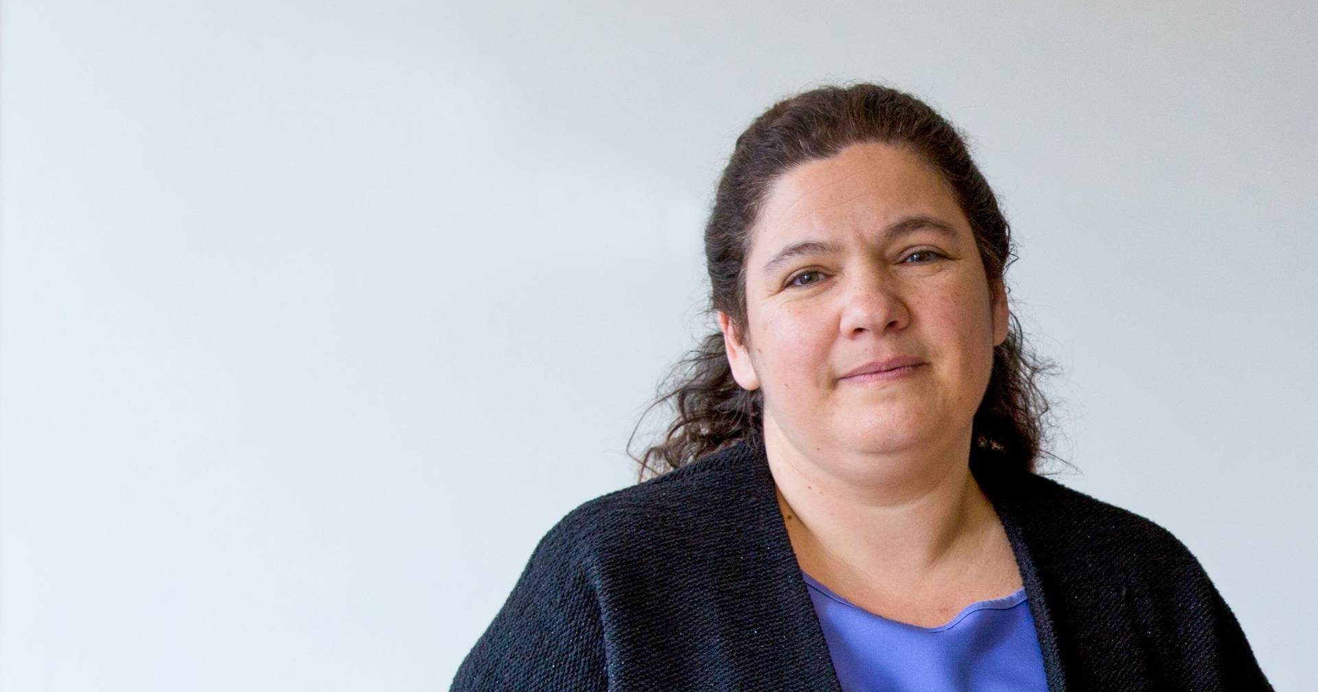 Investigação a fuga de informação na comissão à TAP chega ao fim ...