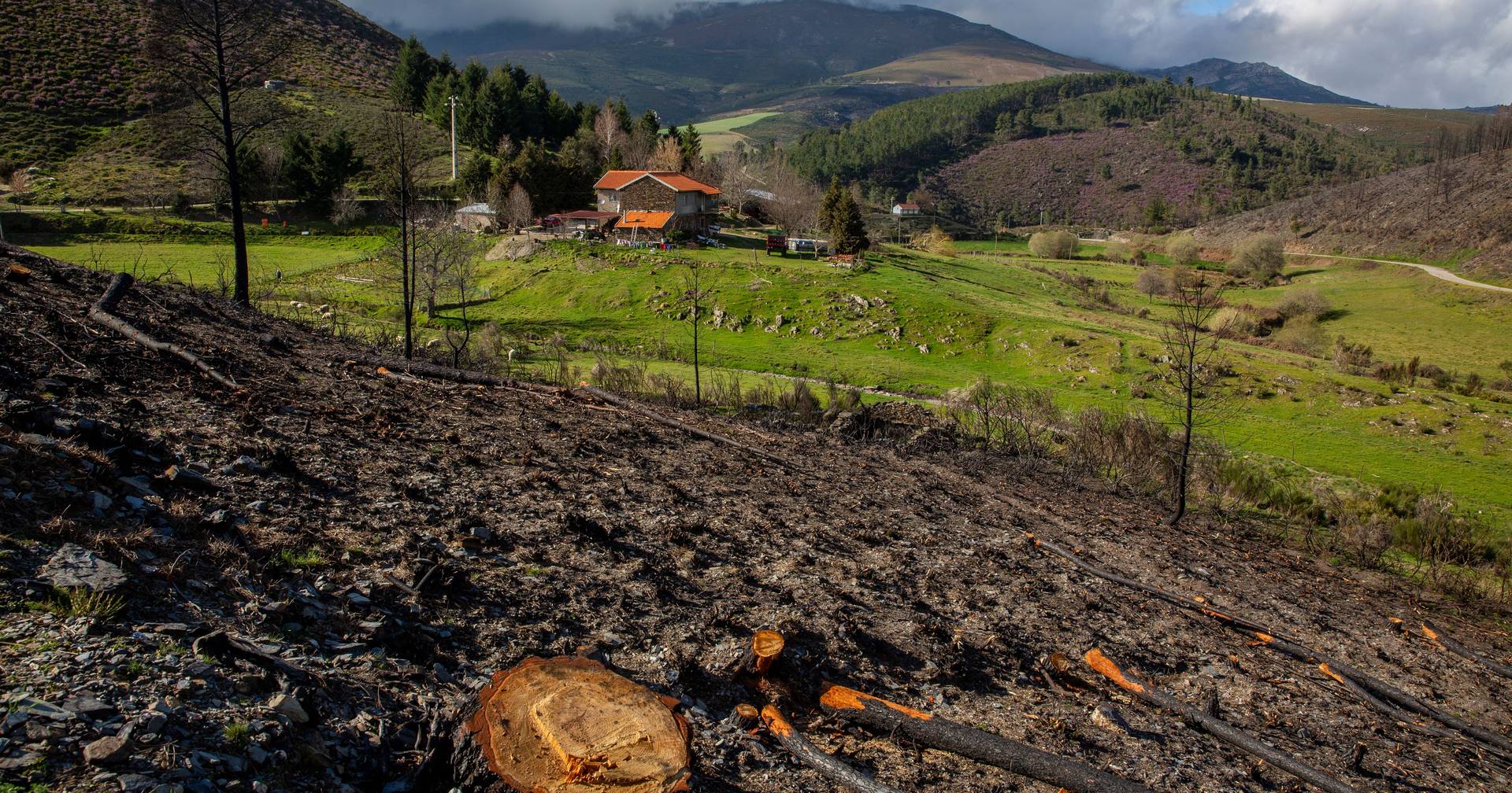 Fogos: Portugal tem “mais meios”, a situação “está melhor”, mas vem aí ...
