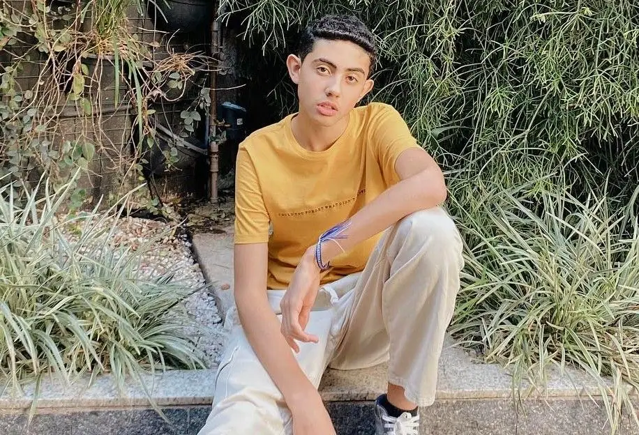 Morreu aos 13 anos Arthur Singer, cantor e ator brasileiro - Expresso