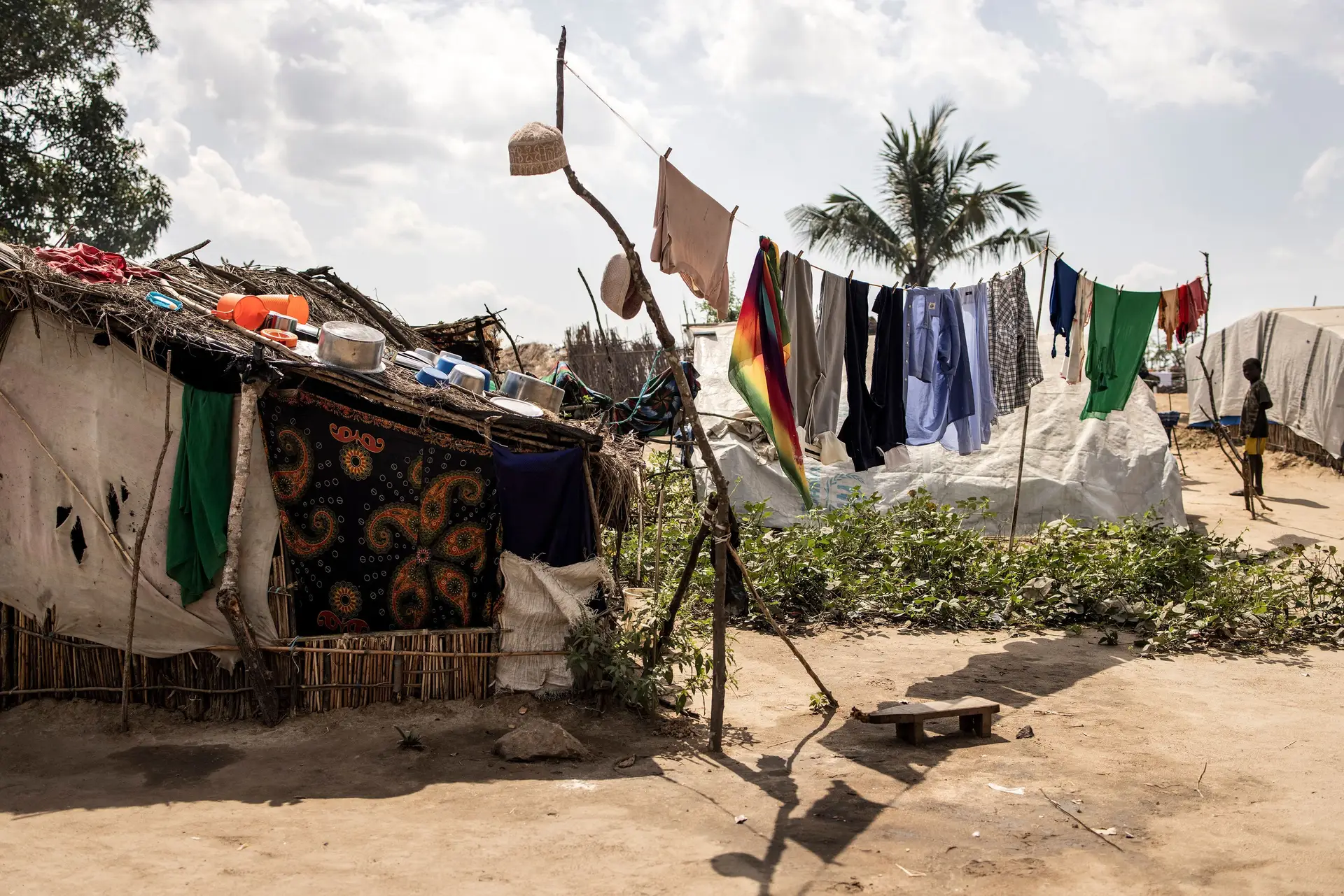Moçambique: Terroristas vandalizam e saqueiam lojas em Macomia, diz ...