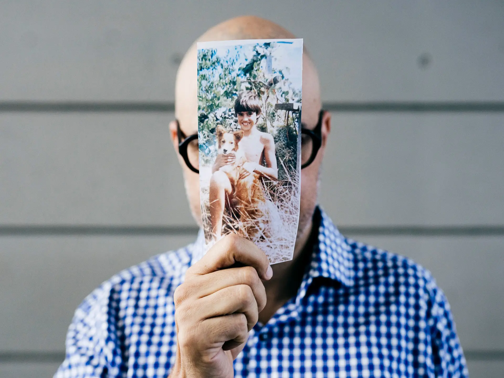 João Miguel Tavares: “Tracem um paralelismo entre a democracia e o ...