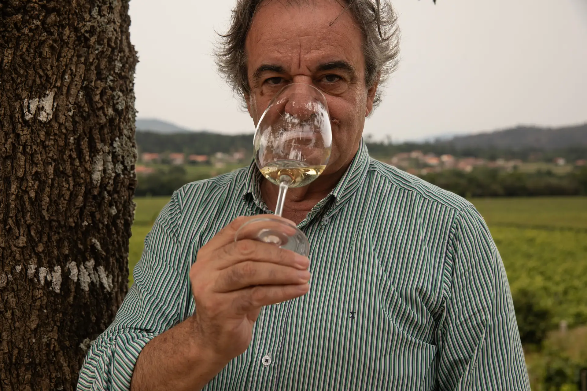 Anselmo Mendes: “Há mais sulfitos numa sandes de fiambre do que numa ...