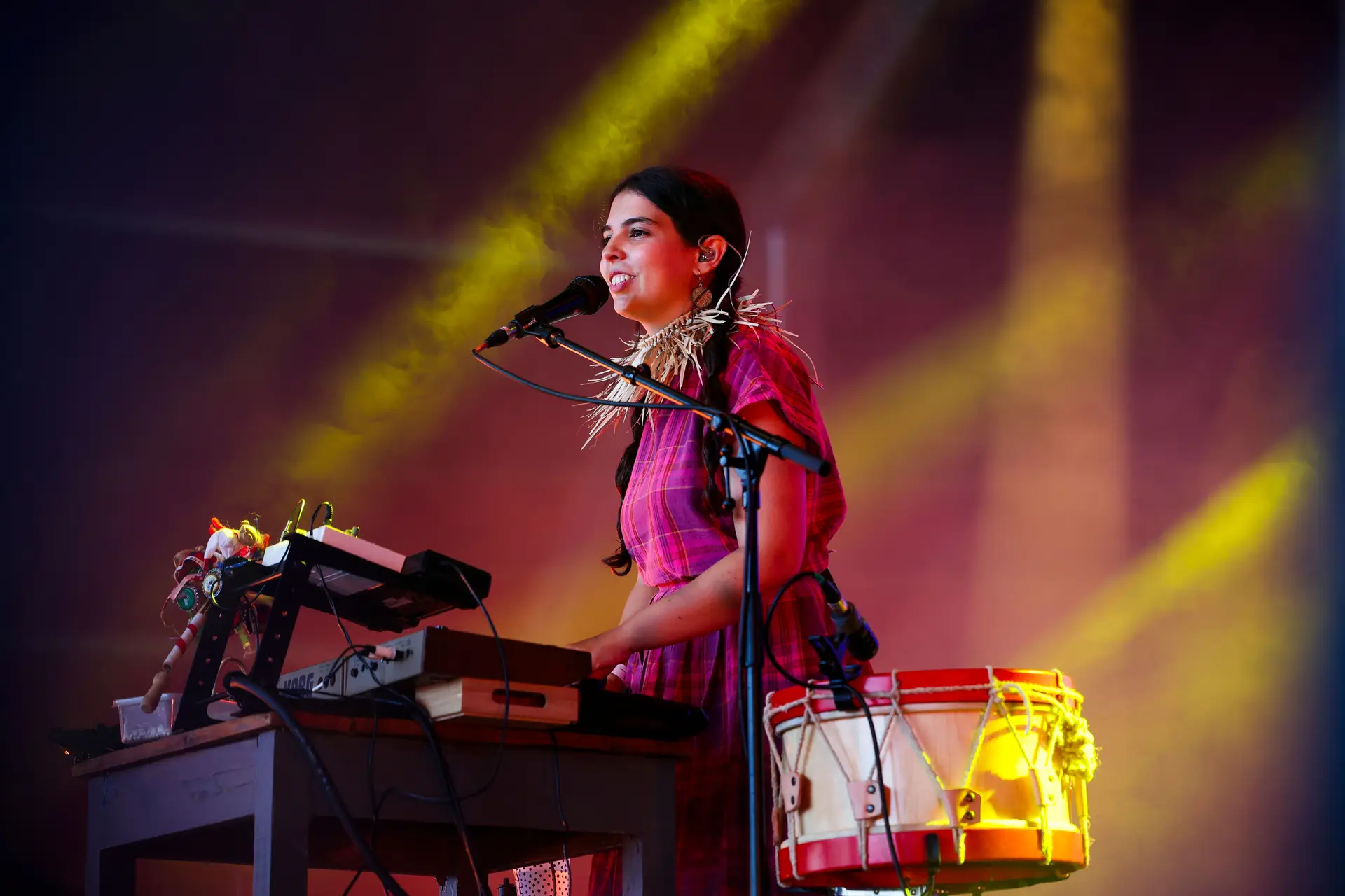 Ana Lua Caiano: “A maior parte dos artistas trabalham num escritório ou ...