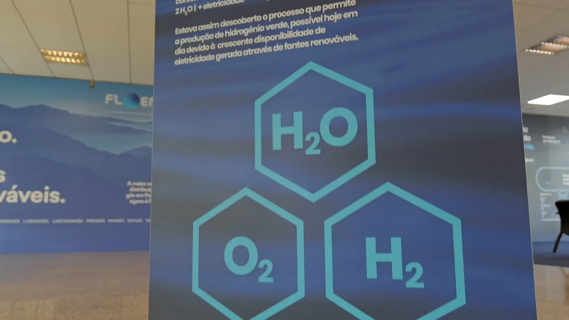 O caminho para a sustentabilidade da Floene - Expresso