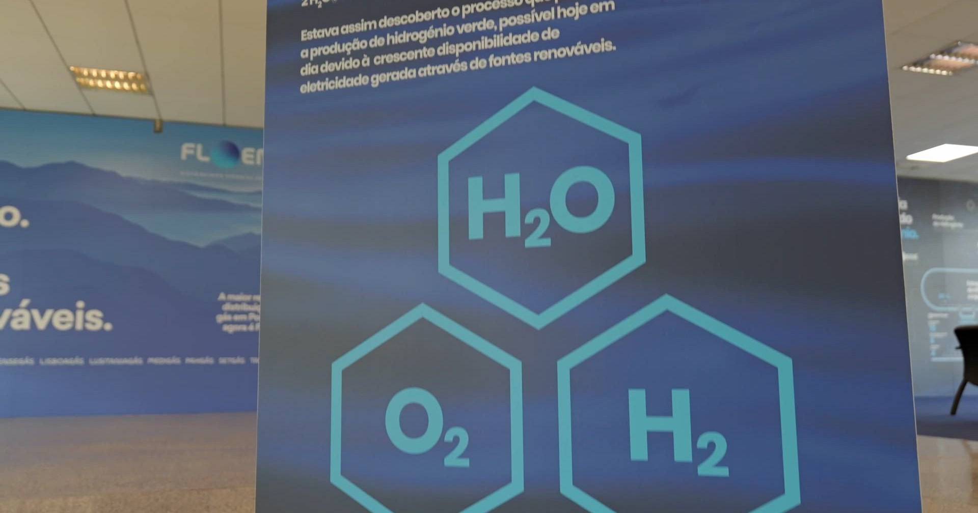 O caminho para a sustentabilidade da Floene - Expresso