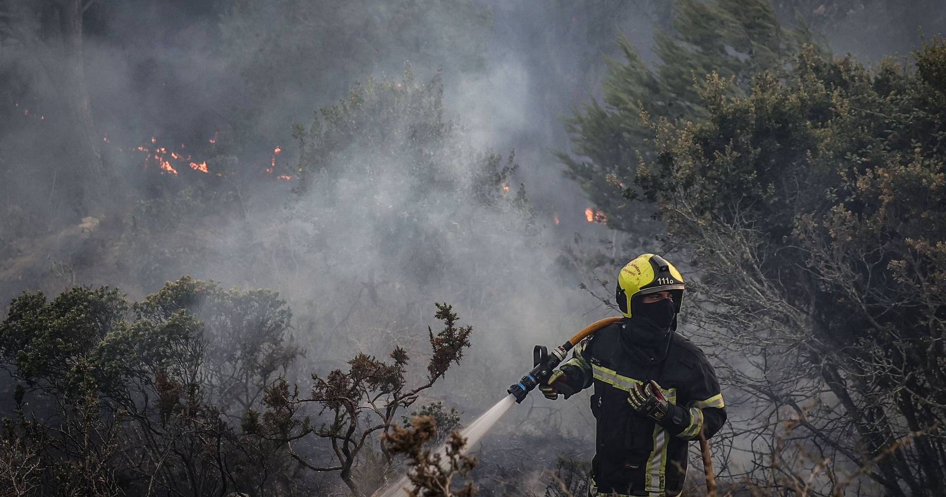 Mais de 340 bombeiros e 13 meios aéreos combatem fogo em Coimbra - Expresso