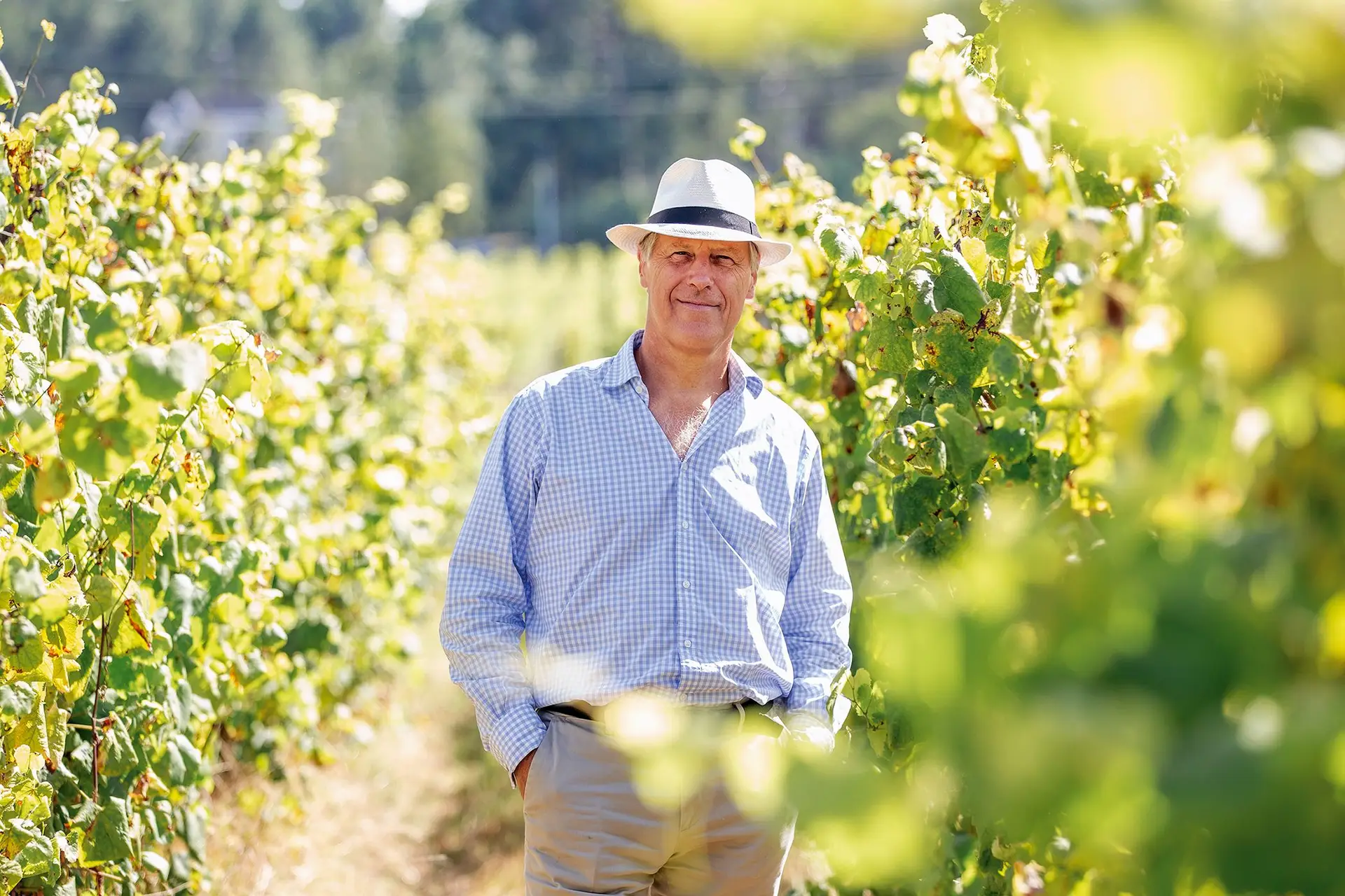 The Fladgate Partnership entra nos vinhos tranquilos a pensar na ...