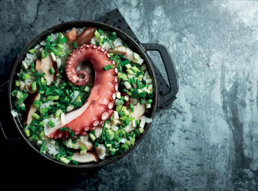 Na costa alentejana, tem nove dias para provar “o melhor do polvo do ...