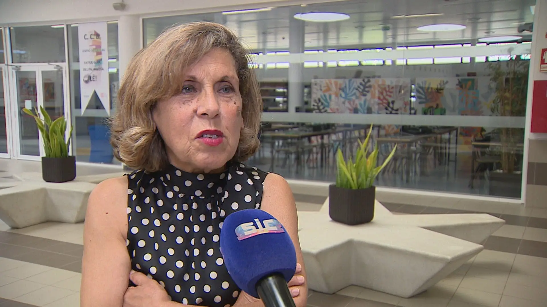 Professora de história consegue vinculação apenas aos 68 anos - Expresso