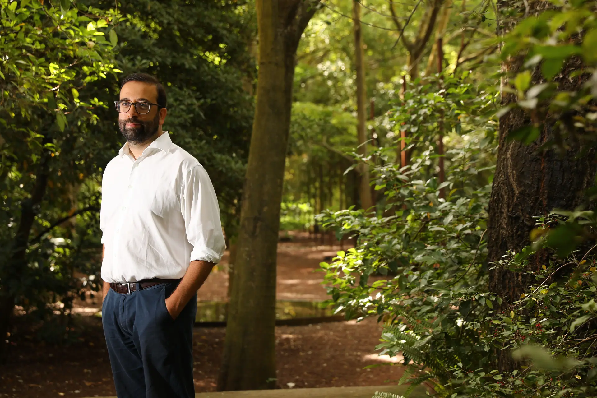 Ricardo Reis em entrevista: "Continuamos expostos a outra crise das ...