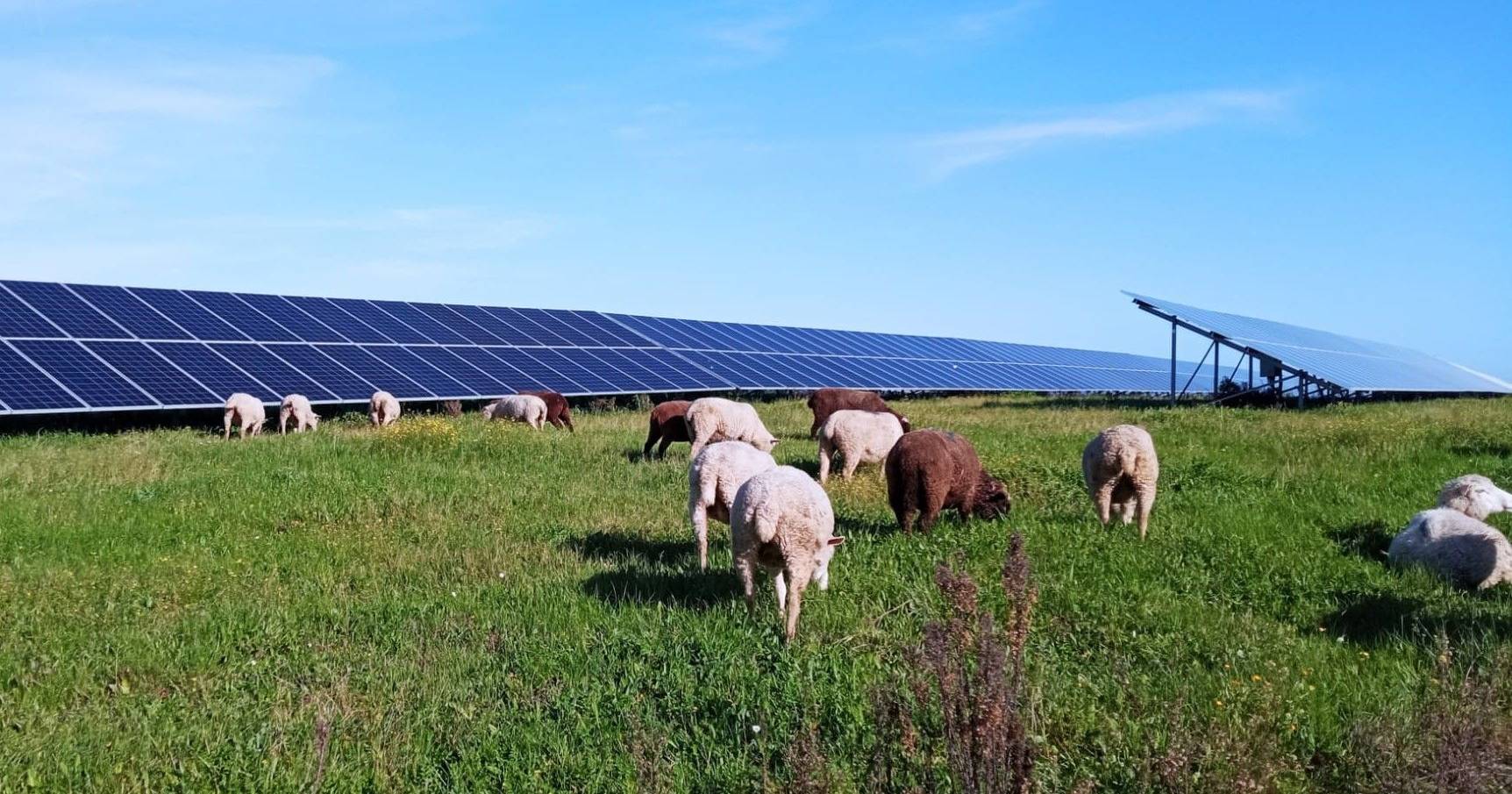 Hyperion Renewables investe €14 milhões em projetos de baterias em ...