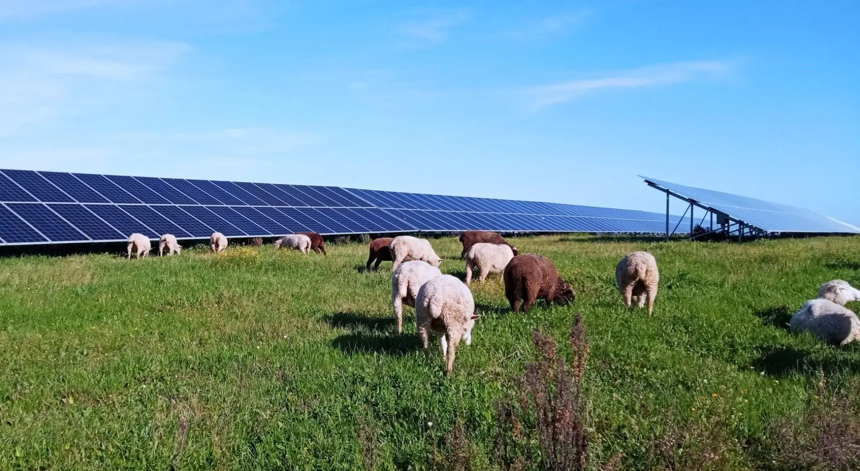 Francesa Mirova investe €140 milhões na portuguesa Hyperion - Expresso