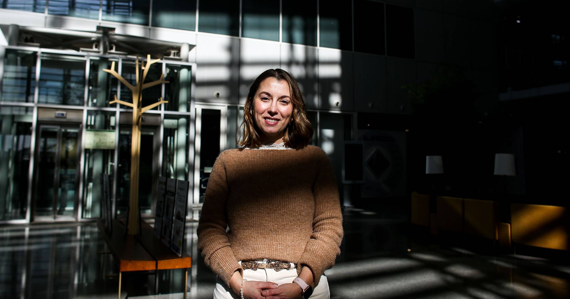 Como é que a raiz da árvore da Fruta Sapo pode vir a tornar-se num ...