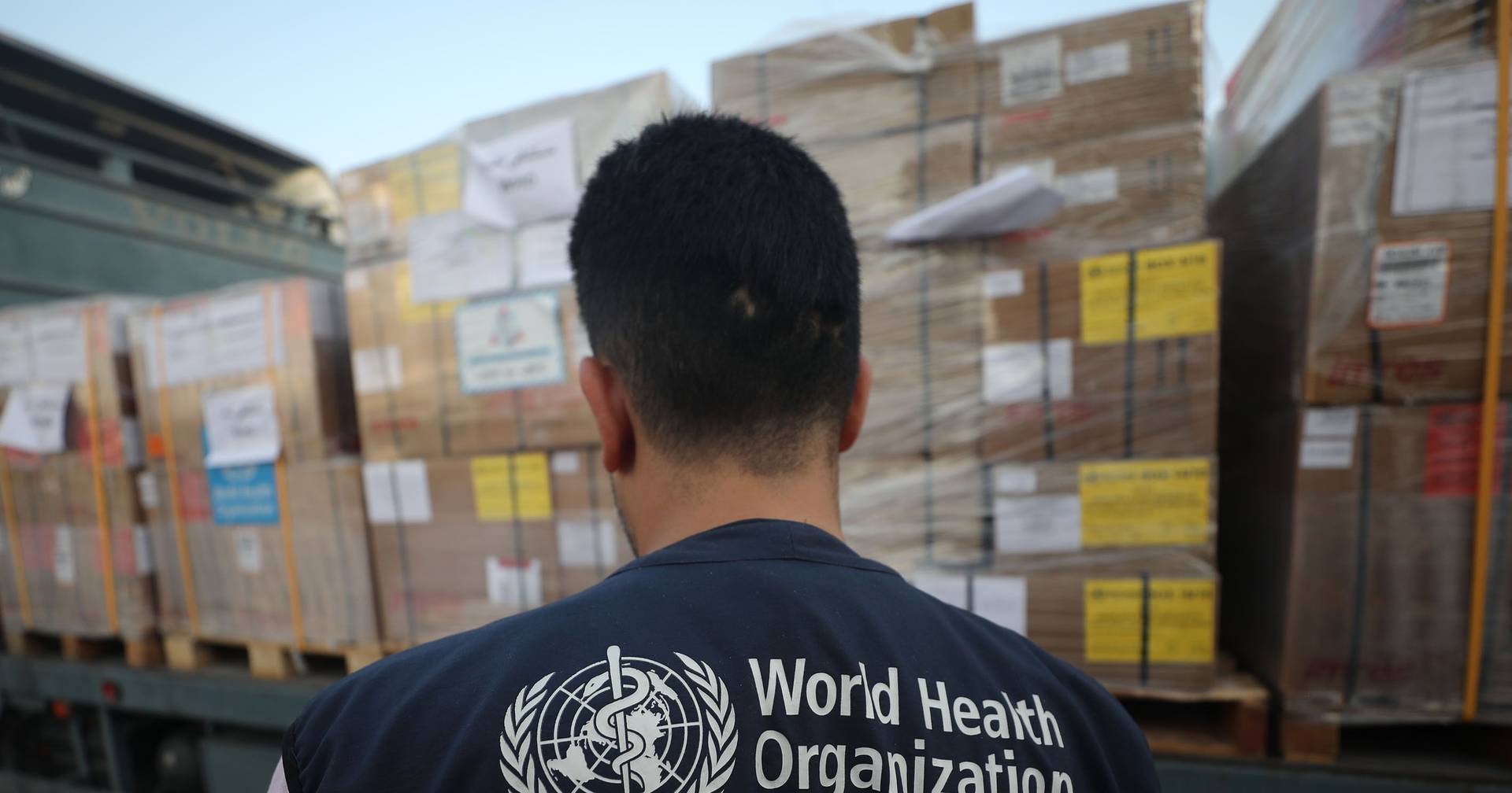 OMS recorda que a saúde é um direito que não chega a metade da ...