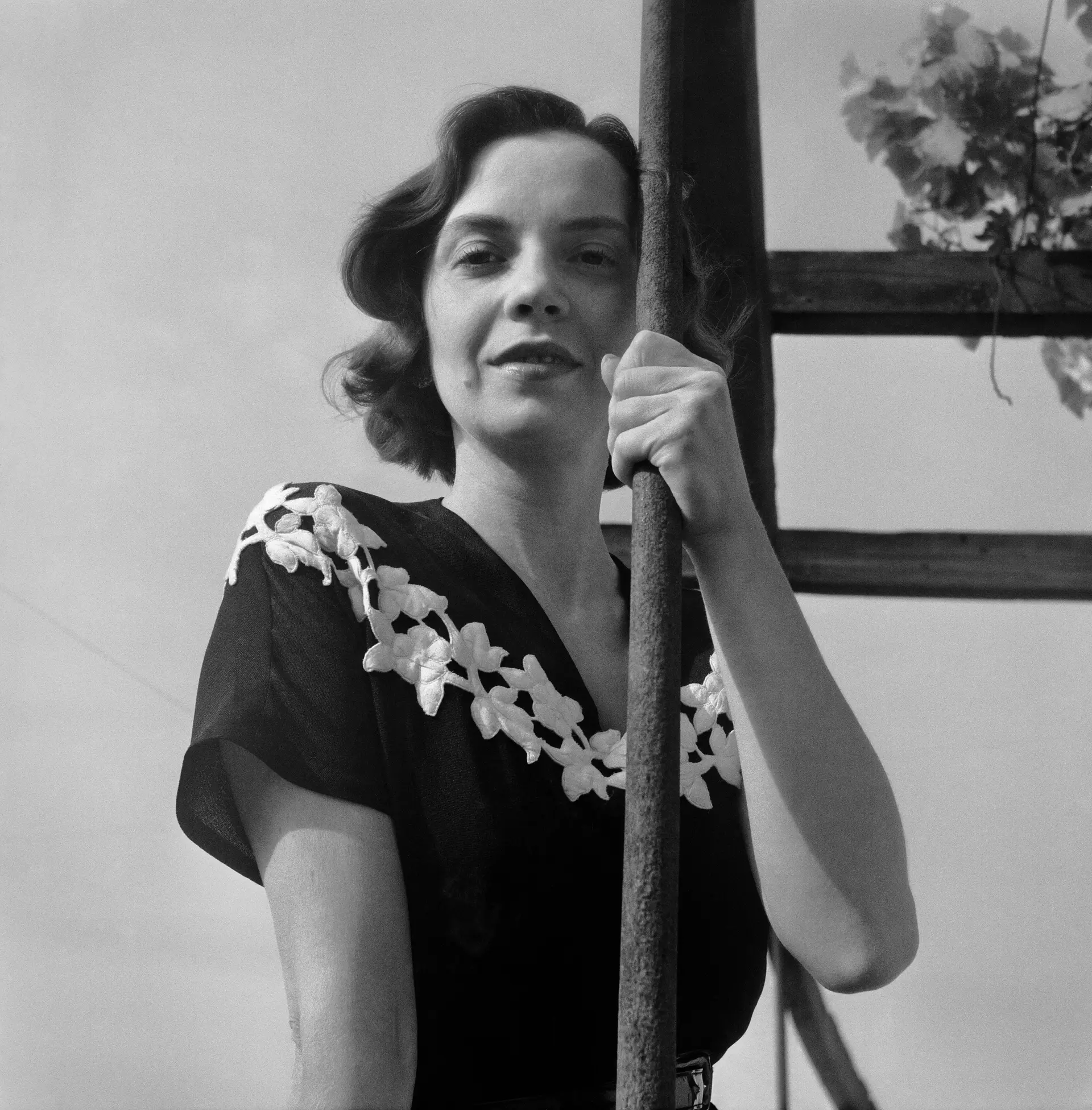 Poeta da Liberdade: Sophia de Mello Breyner - Expresso