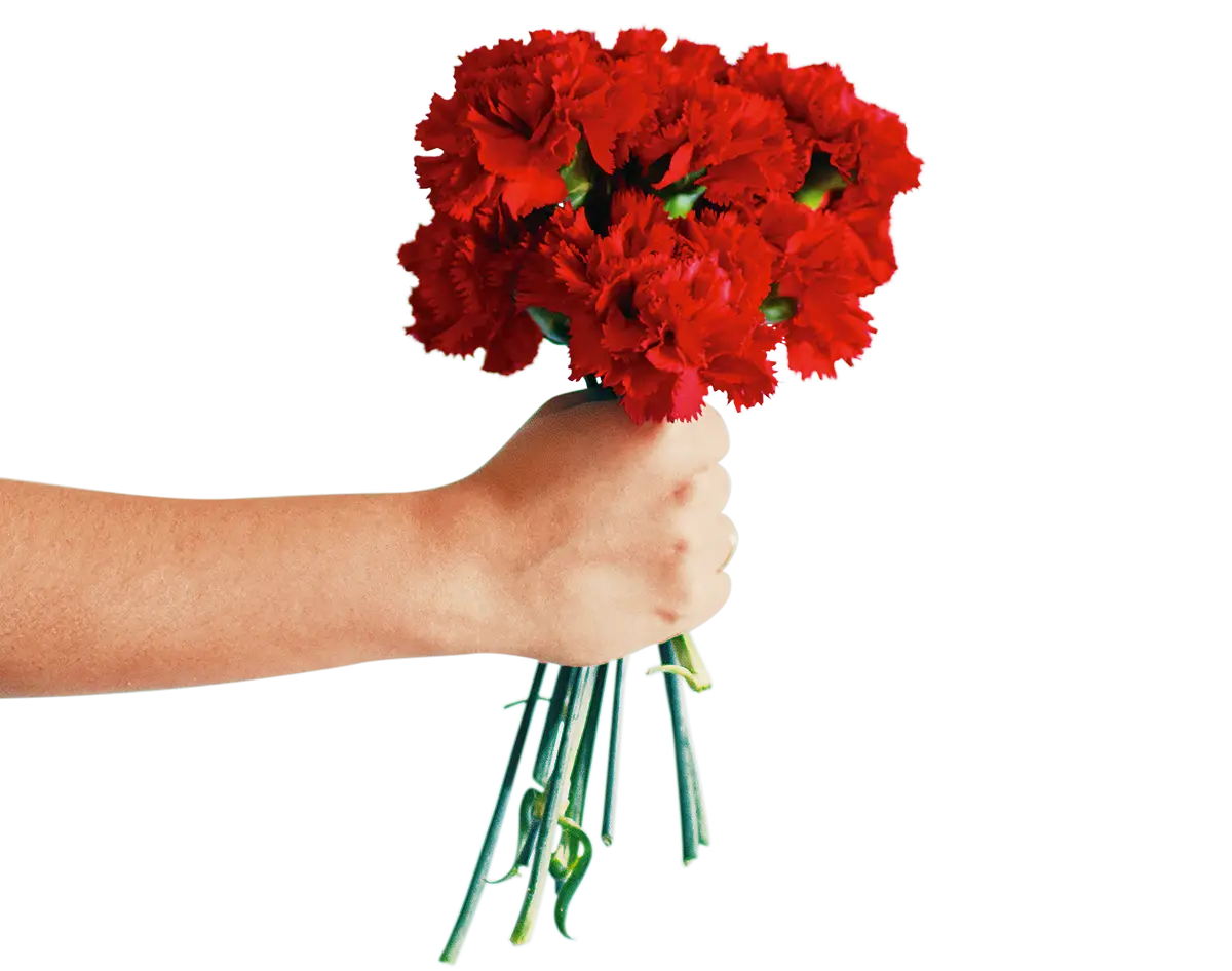 Cravos em papel, croché e joalharia: como a arte ajuda a semear Abril ...