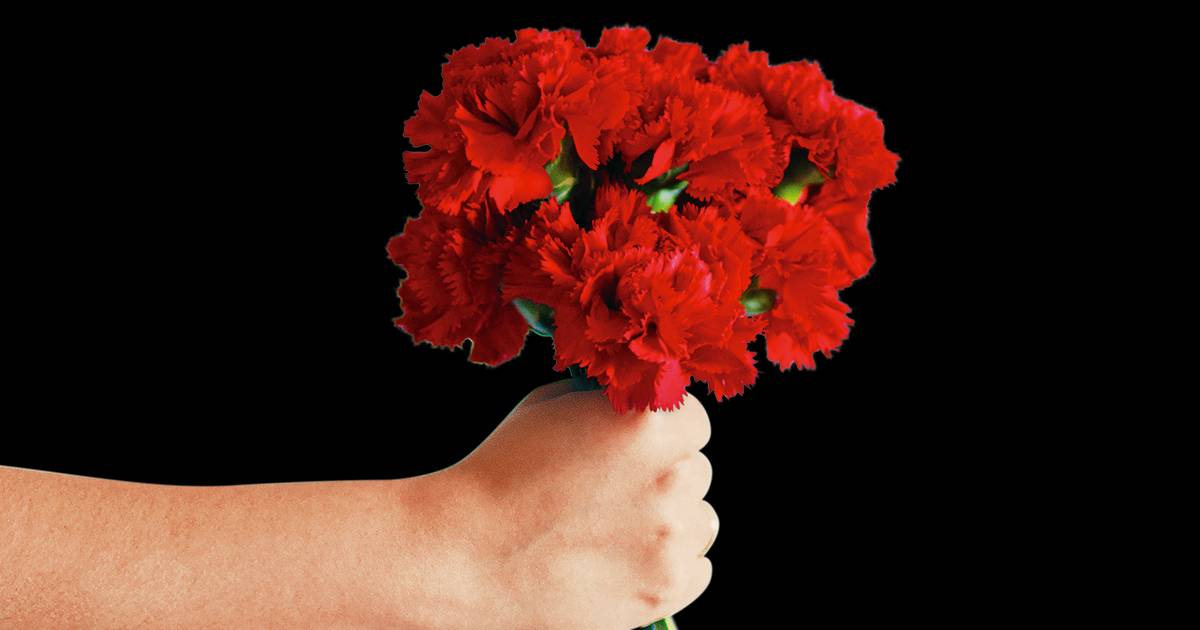 Cravos em papel, croché e joalharia: como a arte ajuda a semear Abril ...