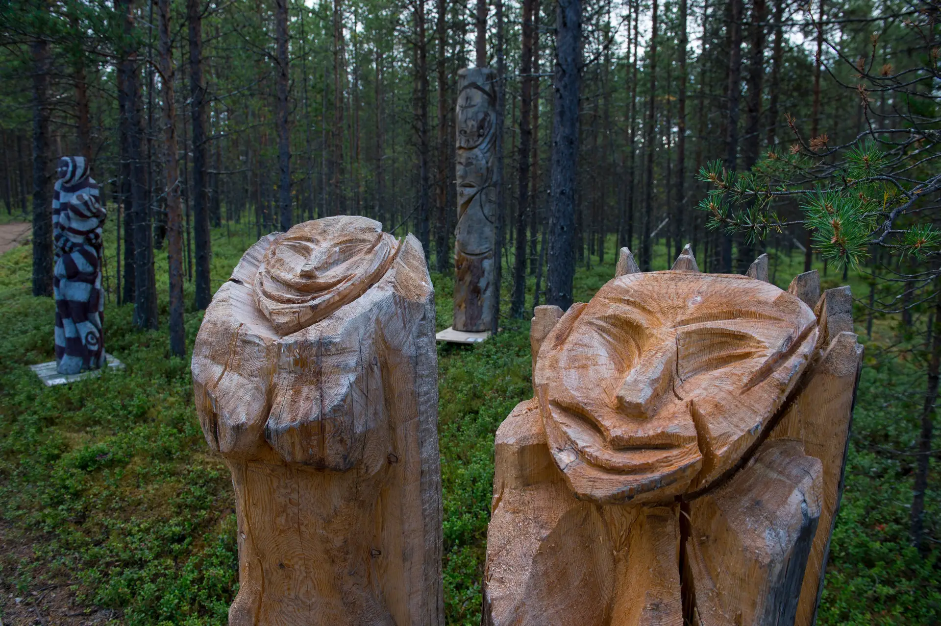 O Sámi Museum Siida é o Museu Europeu do Ano 2024 - Expresso