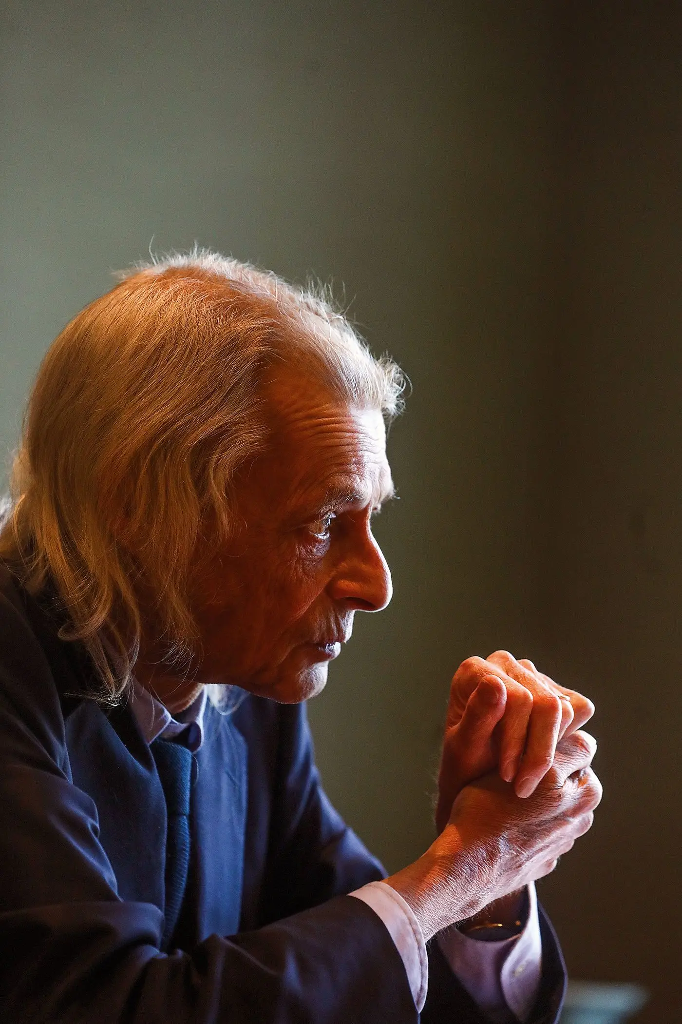 João Manso Neto: “Destruir uma floresta para pôr painéis solares não é ...